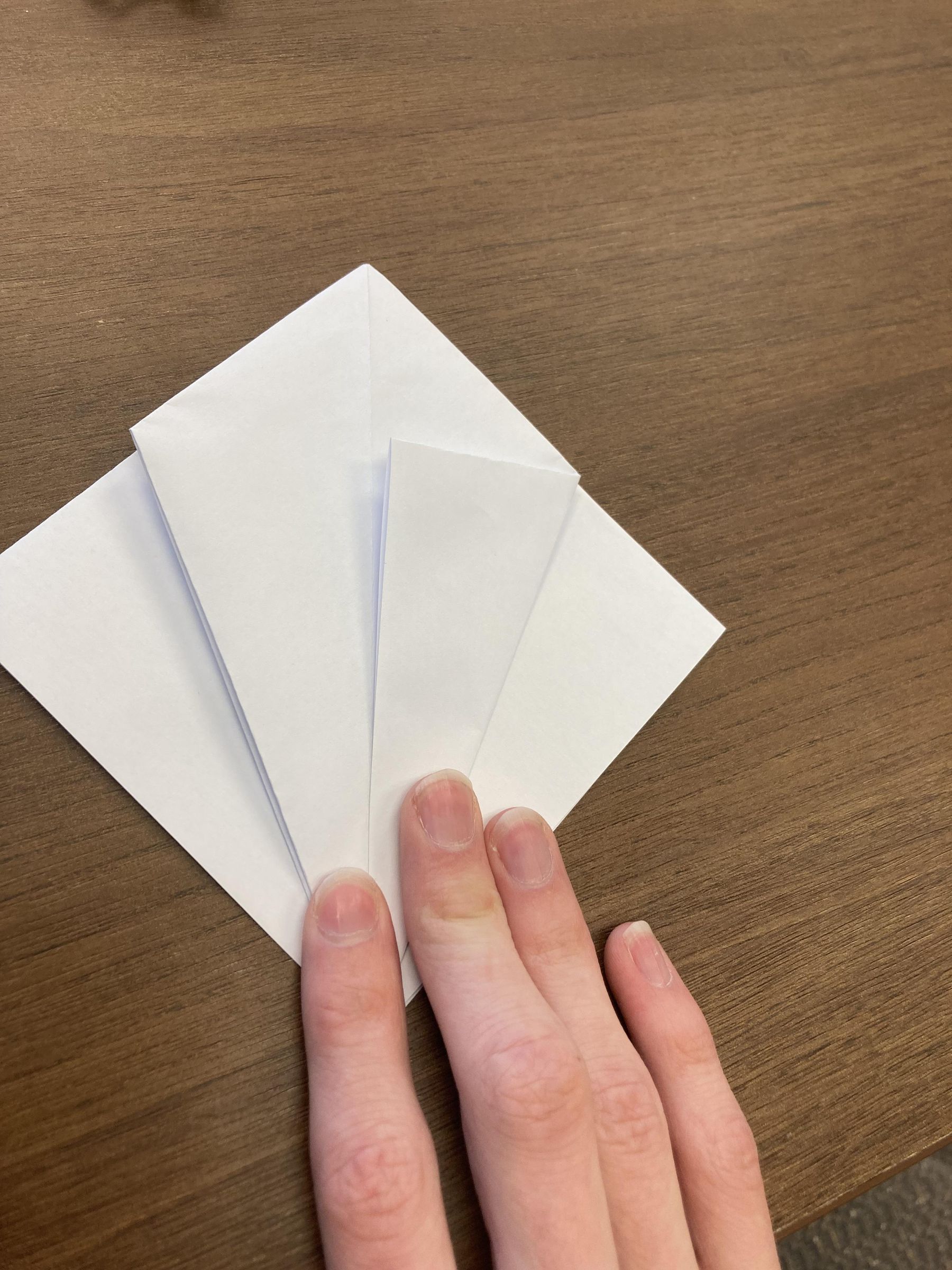 Folding a Paper Crane : 16 Steps (with Pictures) - Instructables