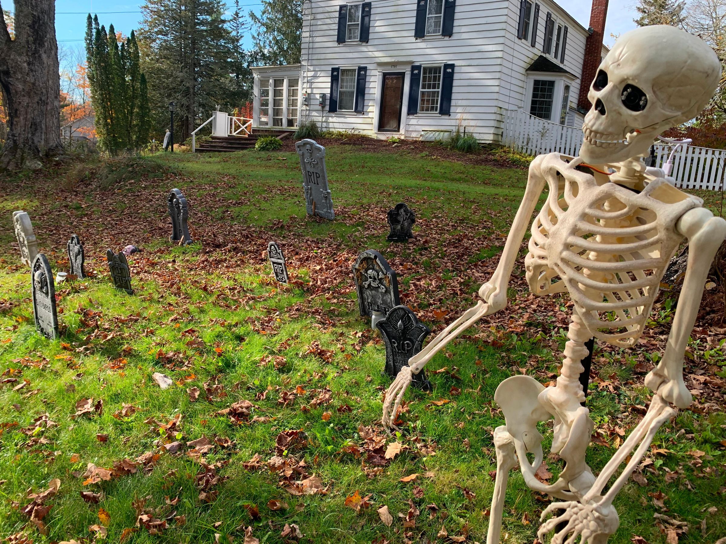Hack Skellington - AI-powered Halloween Skeleton : 11 Steps (with ...