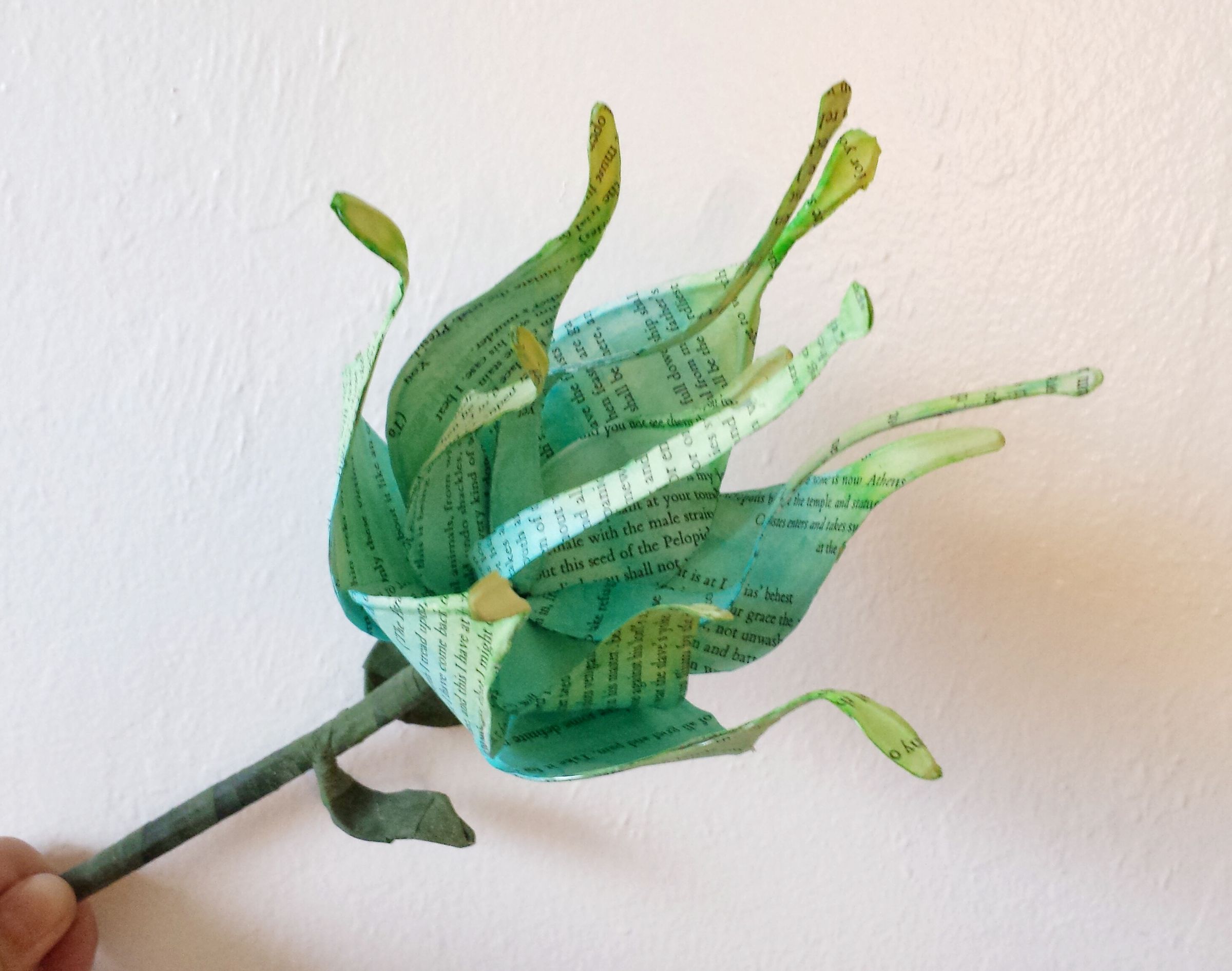 Dyeing Paper: an Exploration : 18 Steps (with Pictures) - Instructables