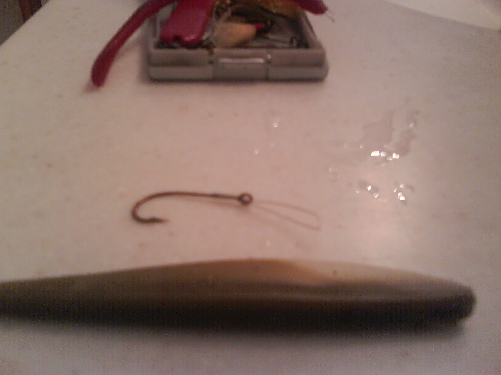 How to Hook Live Bait for Fishing : 3 Steps - Instructables