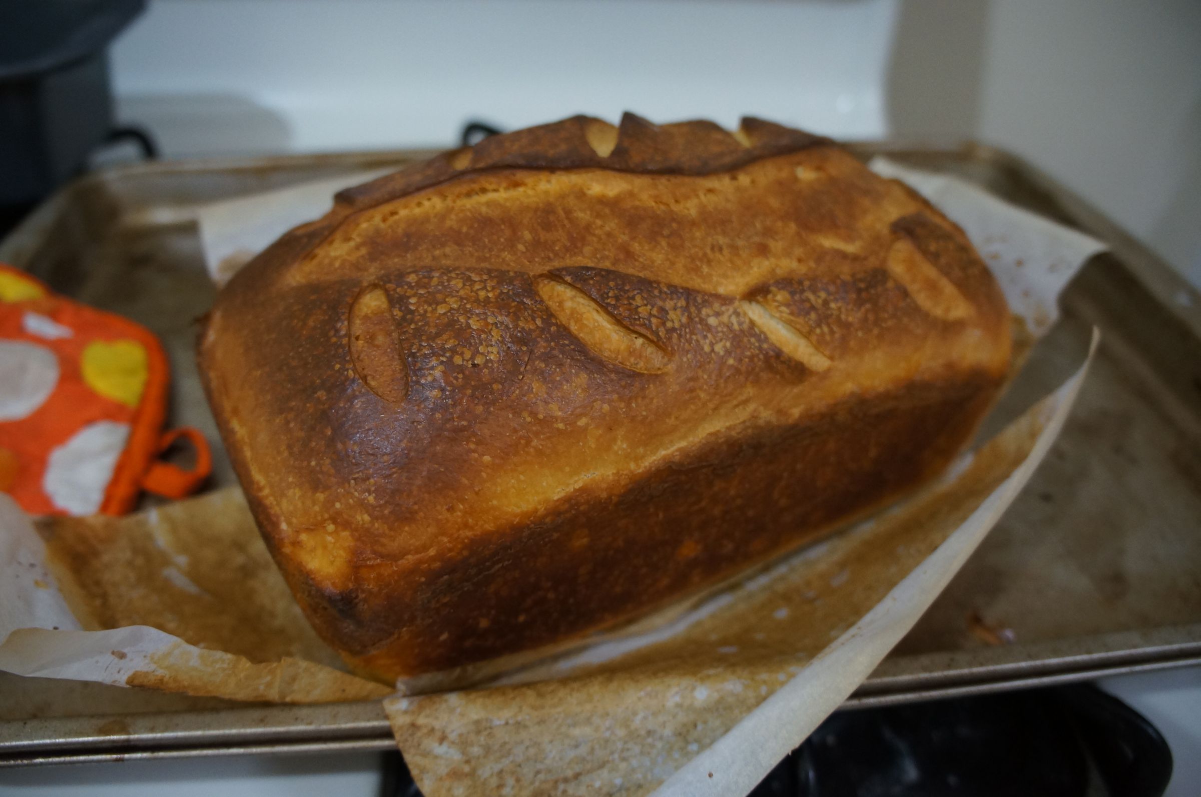Score Shape Color and Stencil Bread for Bread Lovers : 13 Steps (with ...