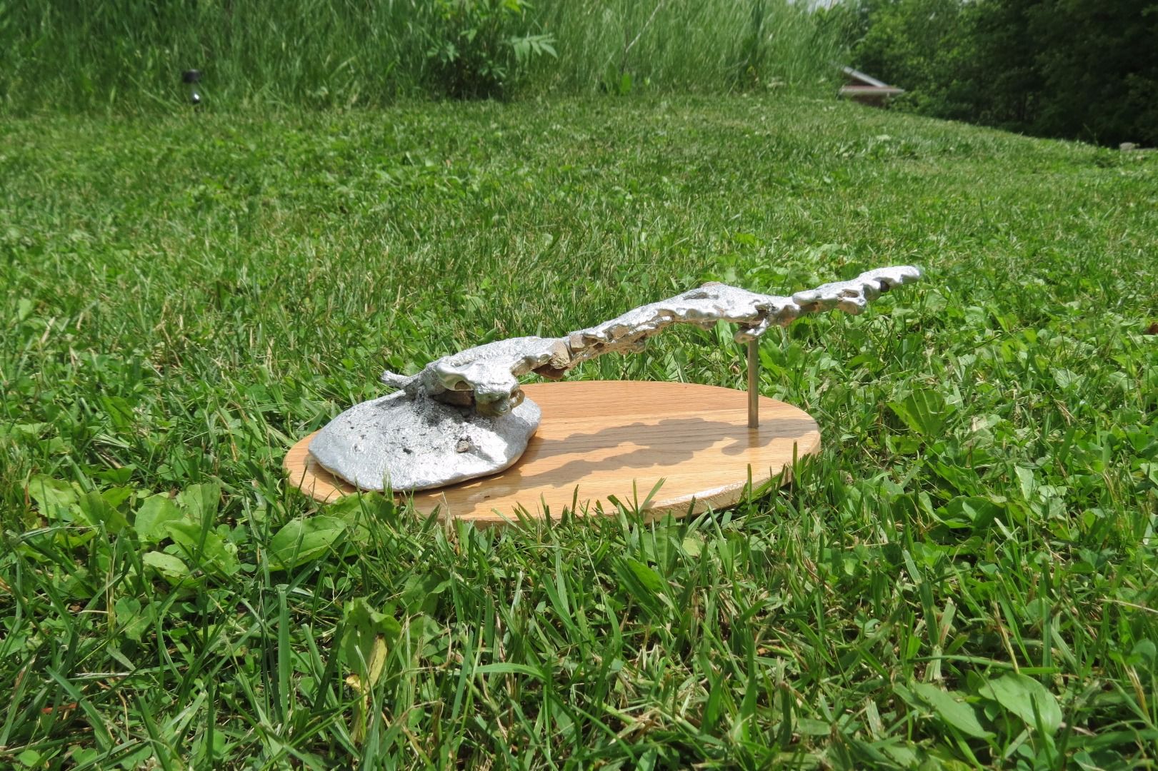 Casting an Aluminum Anthill : 8 Steps (with Pictures) - Instructables