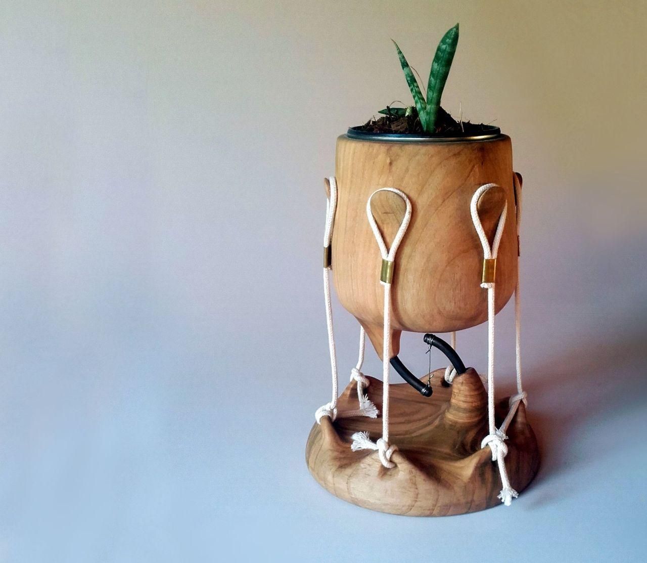 Remix “Tensegrity” “Floating Table” As a Planter : 5 Steps (with ...