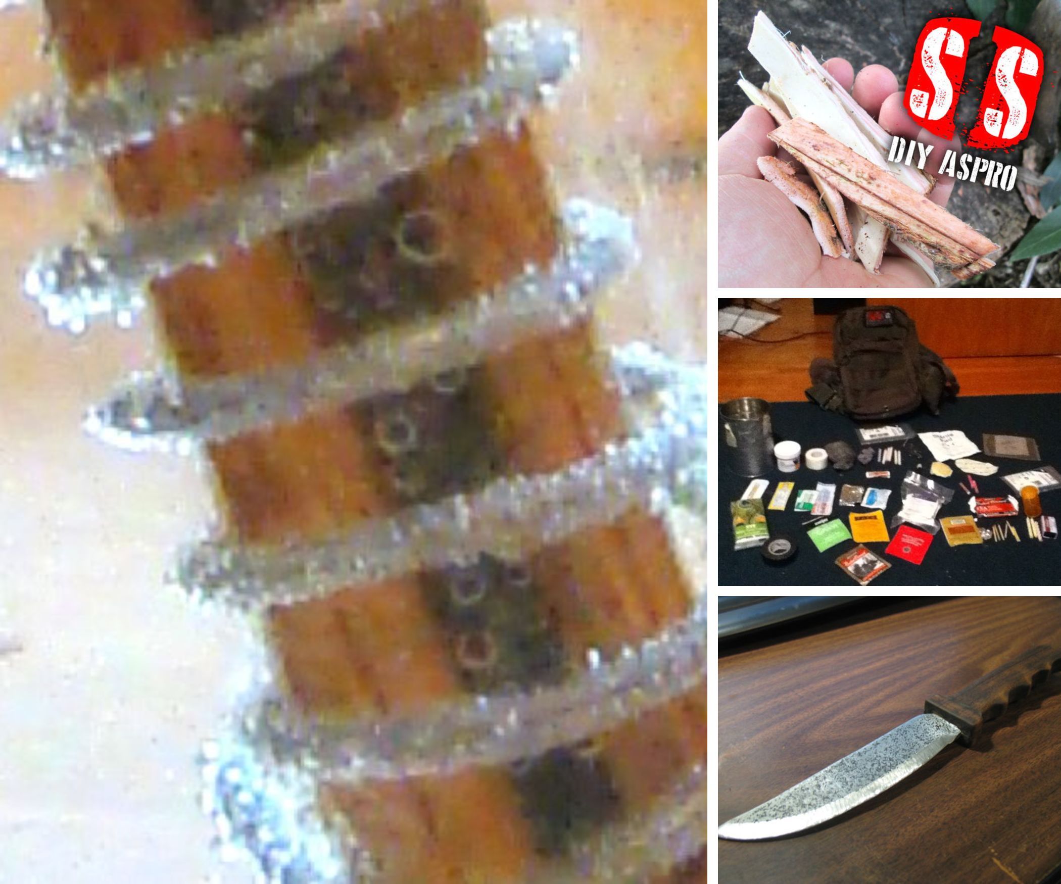 Survival - Instructables