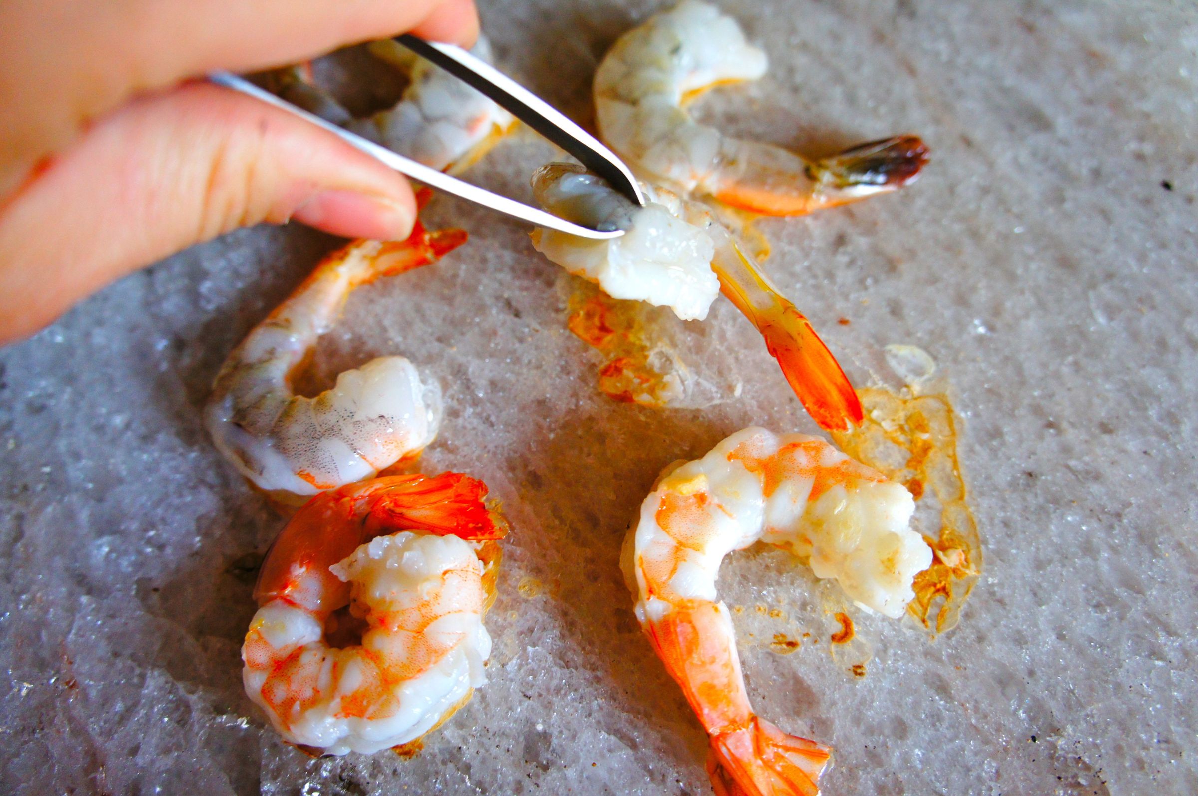 Cooking With an Ancient Himalayan Salt Block : 5 Steps (with Pictures ...