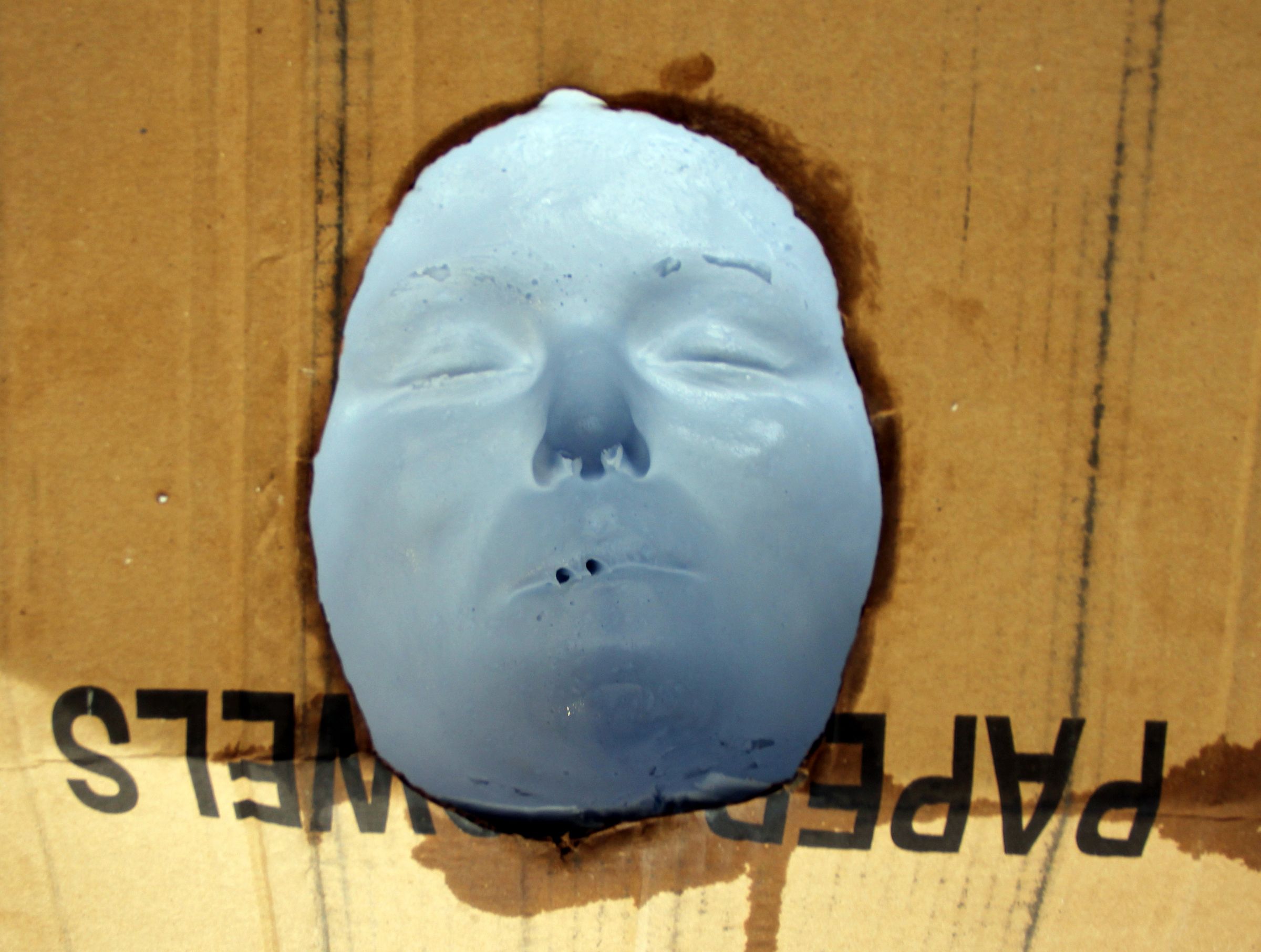 Plaster Face Cast : 15 Steps (with Pictures) - Instructables