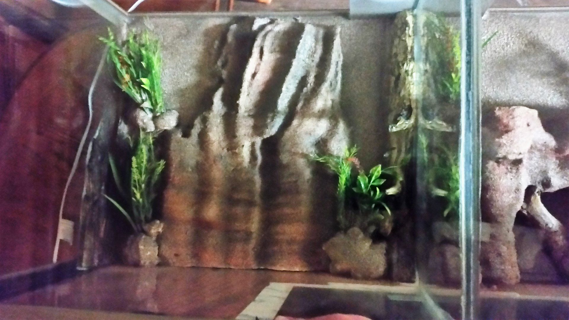 Ball Python Habitat Repurposing Materials : 14 Steps (with Pictures ...