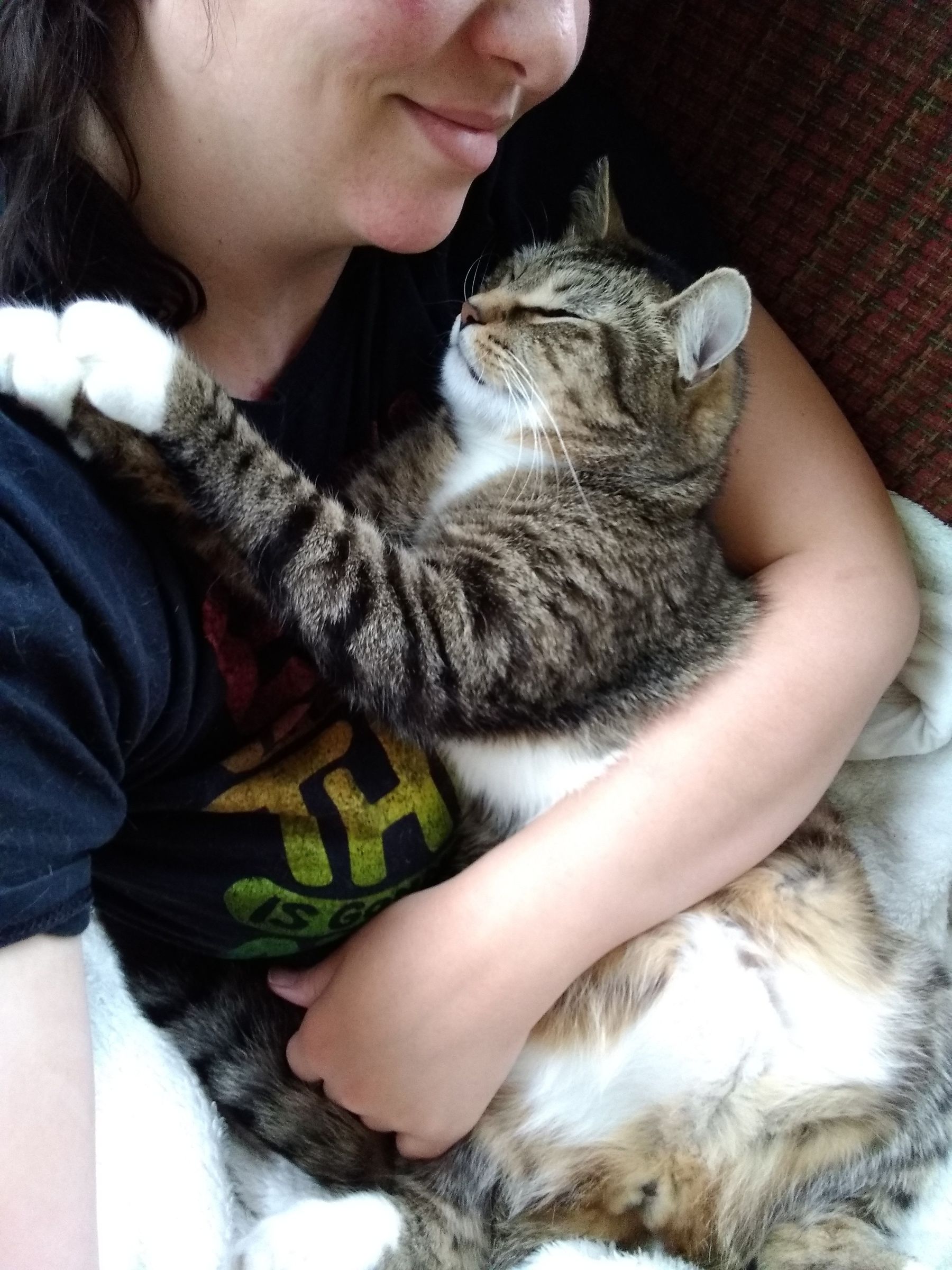 How To: Lull Your Cat to Sleep : 14 Steps (with Pictures) - Instructables