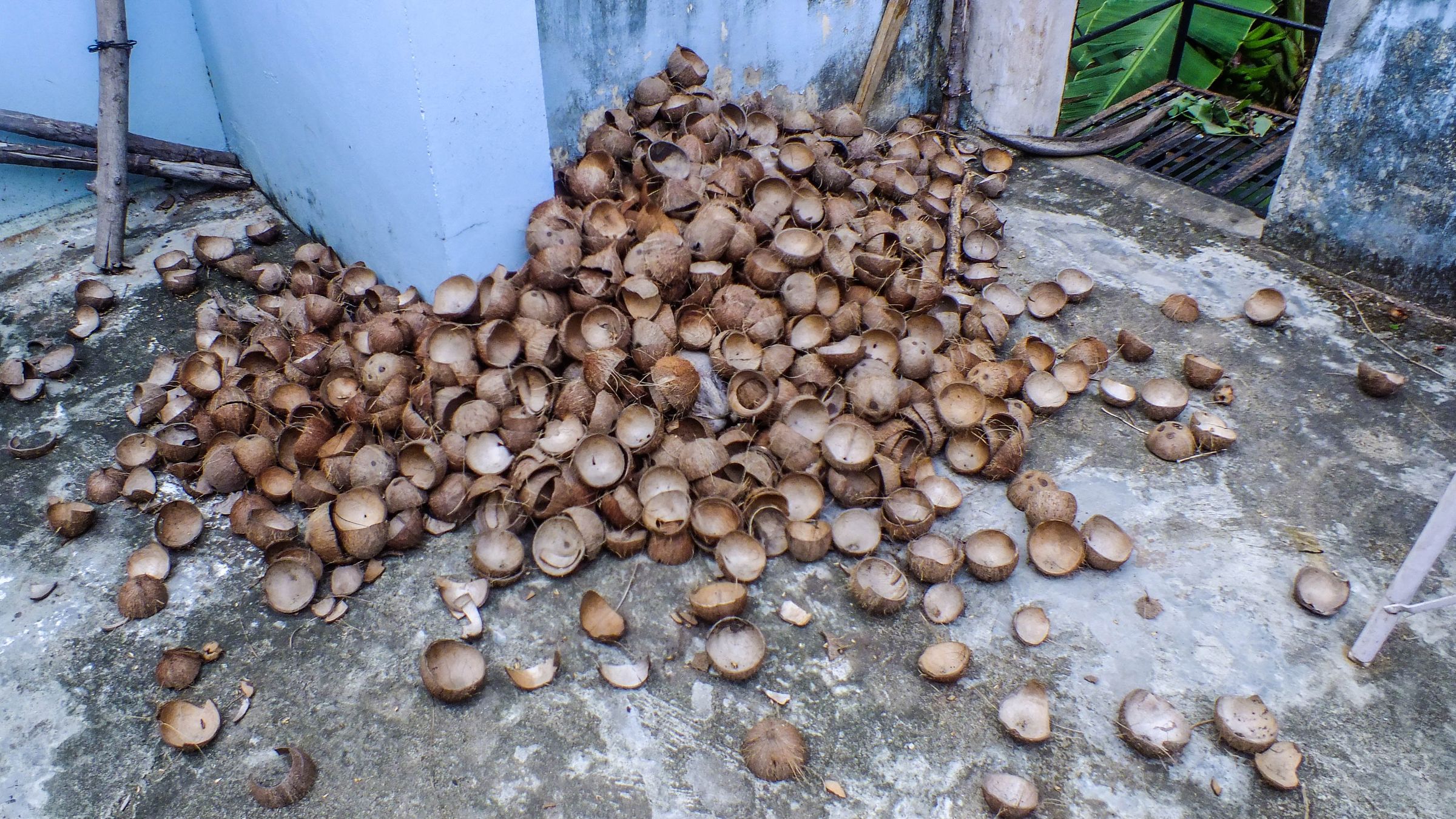 Coconut Shell Stackable Pot : 5 Steps (with Pictures) - Instructables