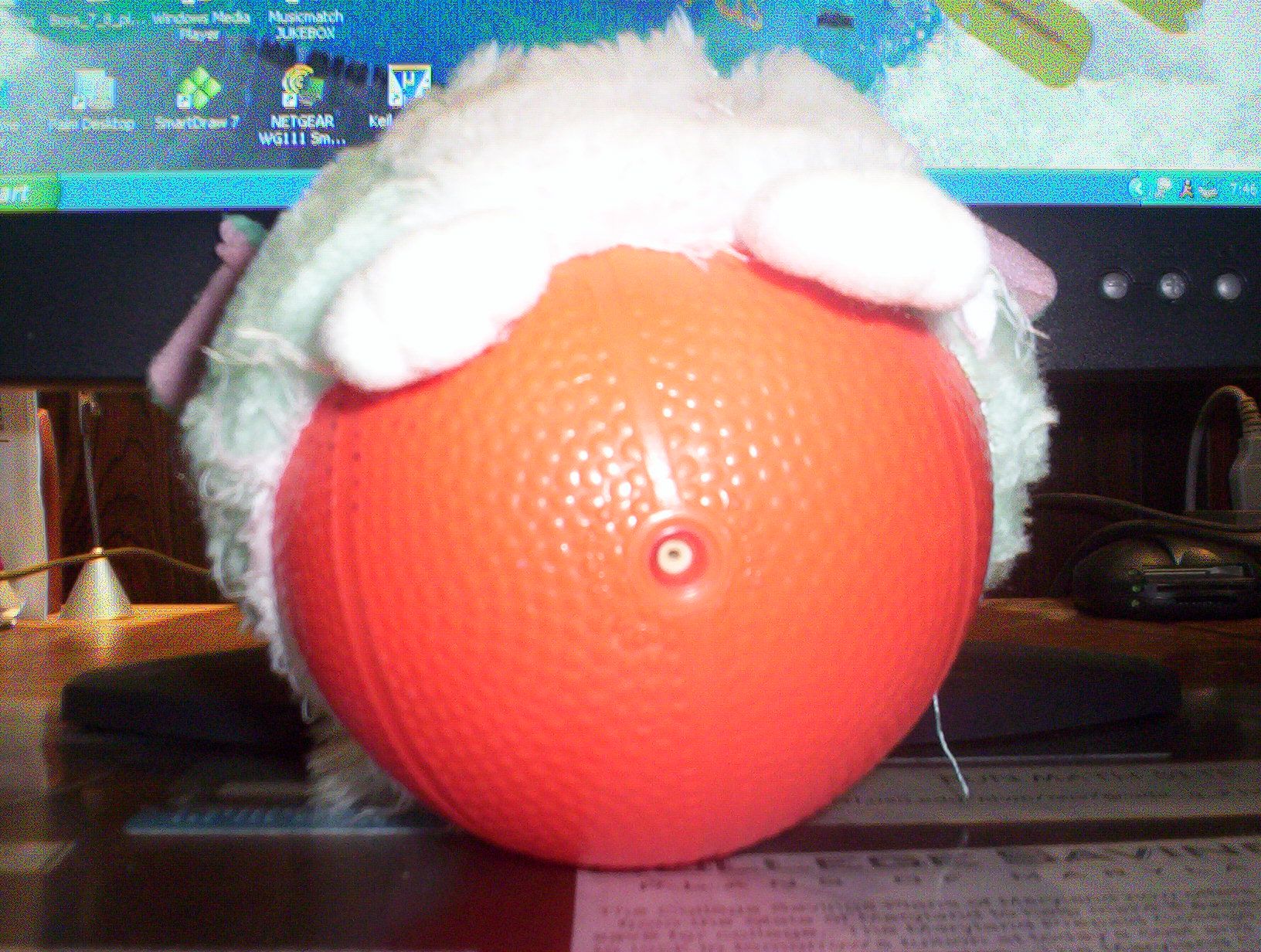 Furball : 3 Steps - Instructables