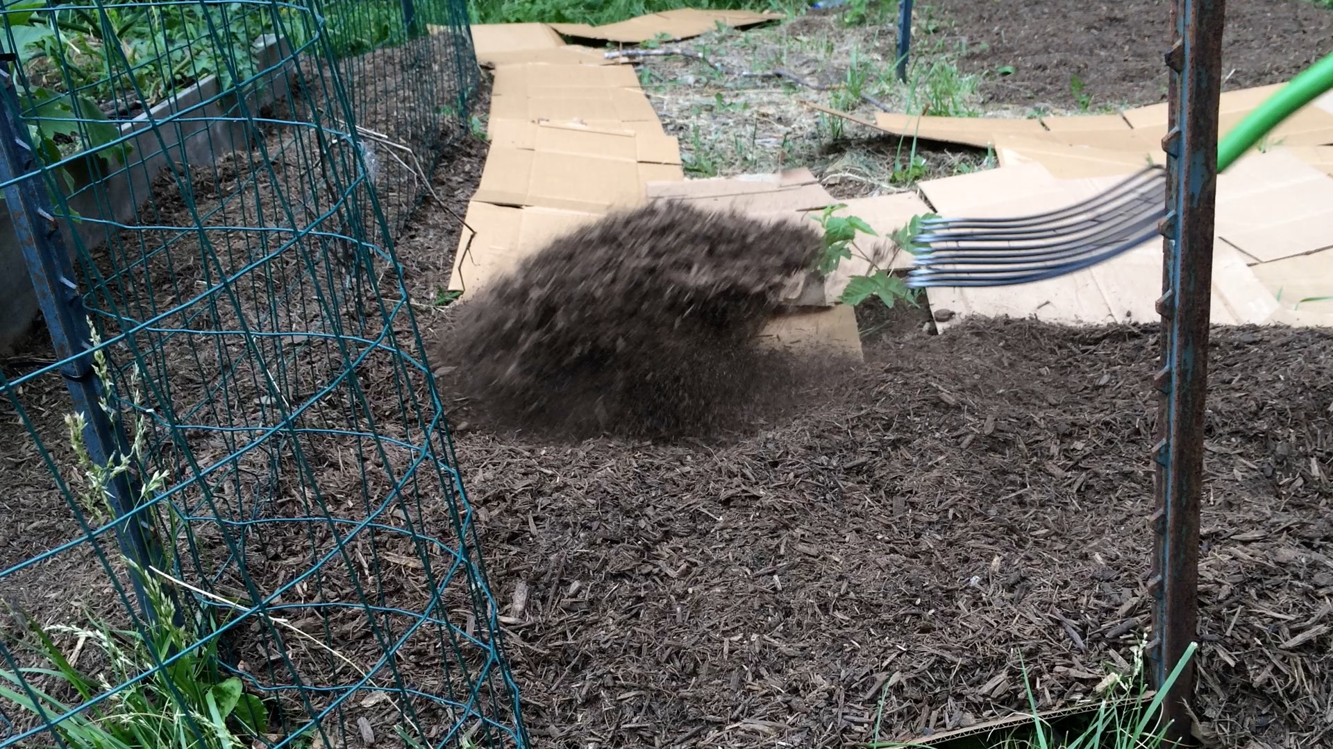 5 Great Ways to Use Cardboard in the Garden : 5 Steps - Instructables