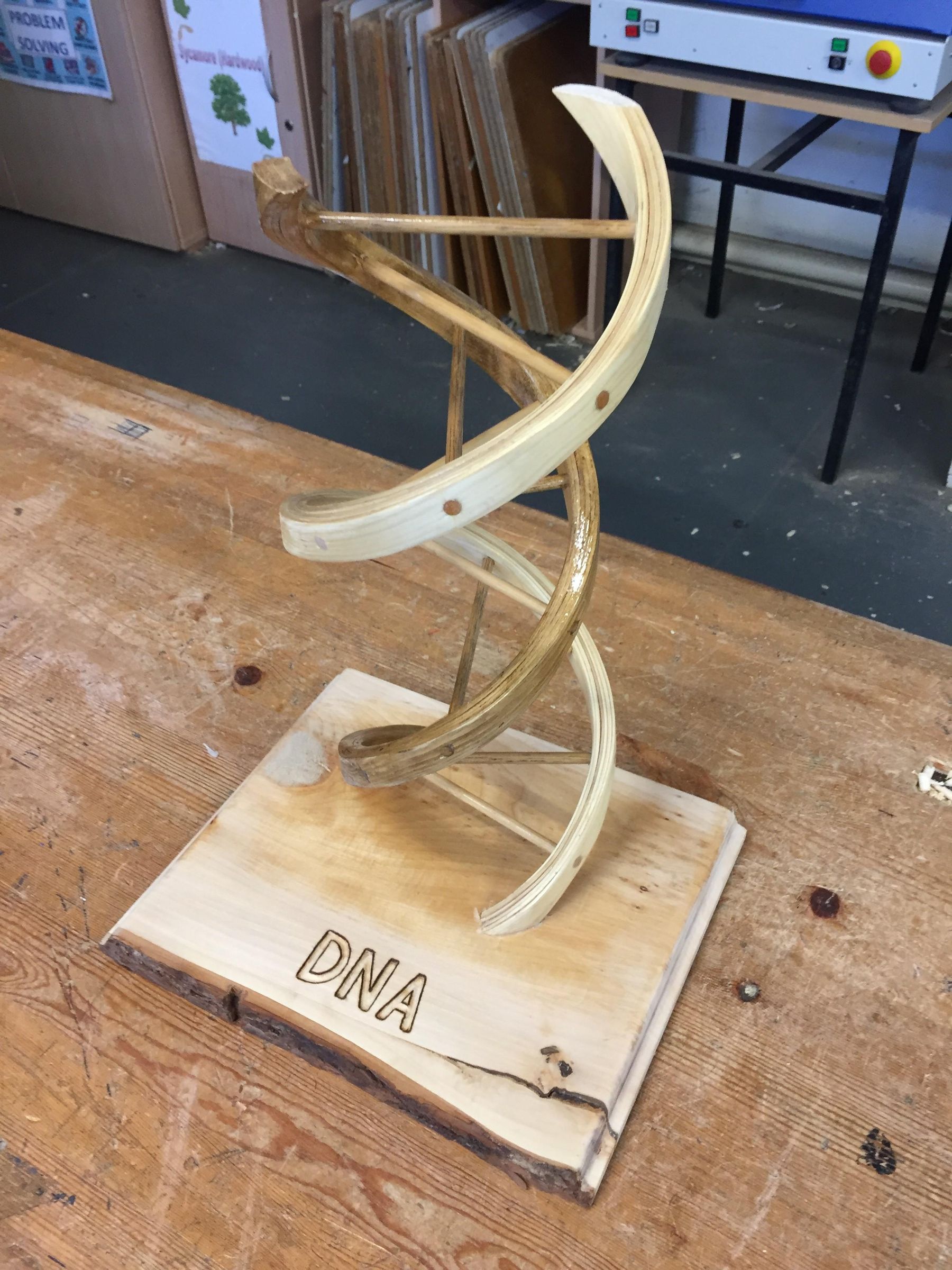 Laminated Plywood DNA Model : 12 Steps (with Pictures) - Instructables
