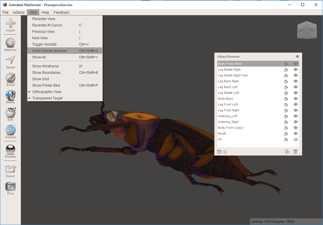 Build an Accurate Animal Paper Model : 5 Steps (with Pictures ...