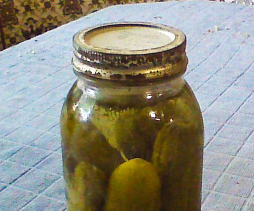 One Jar of Pickles at a Time! : 3 Steps - Instructables