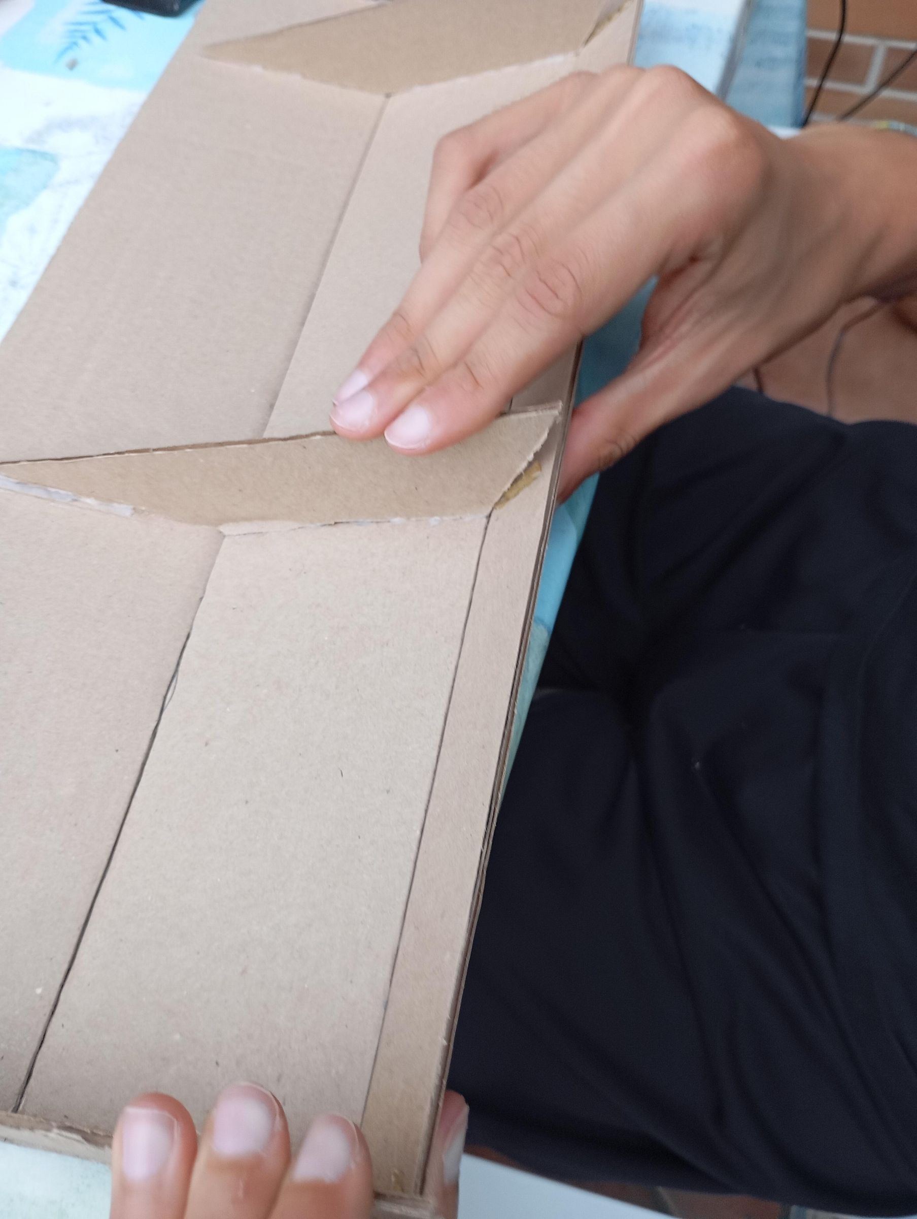 How to Make a DIY Carboard RC Plane : 23 Steps (with Pictures ...