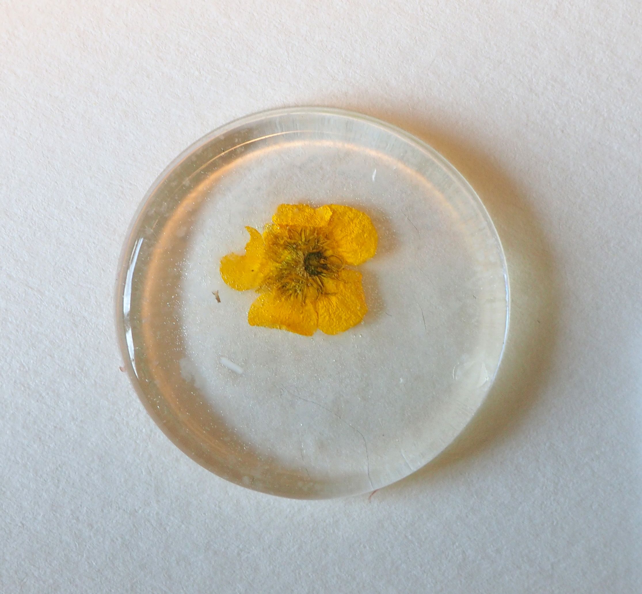Techniques to Embed Flowers in Resin : 12 Steps (with Pictures ...