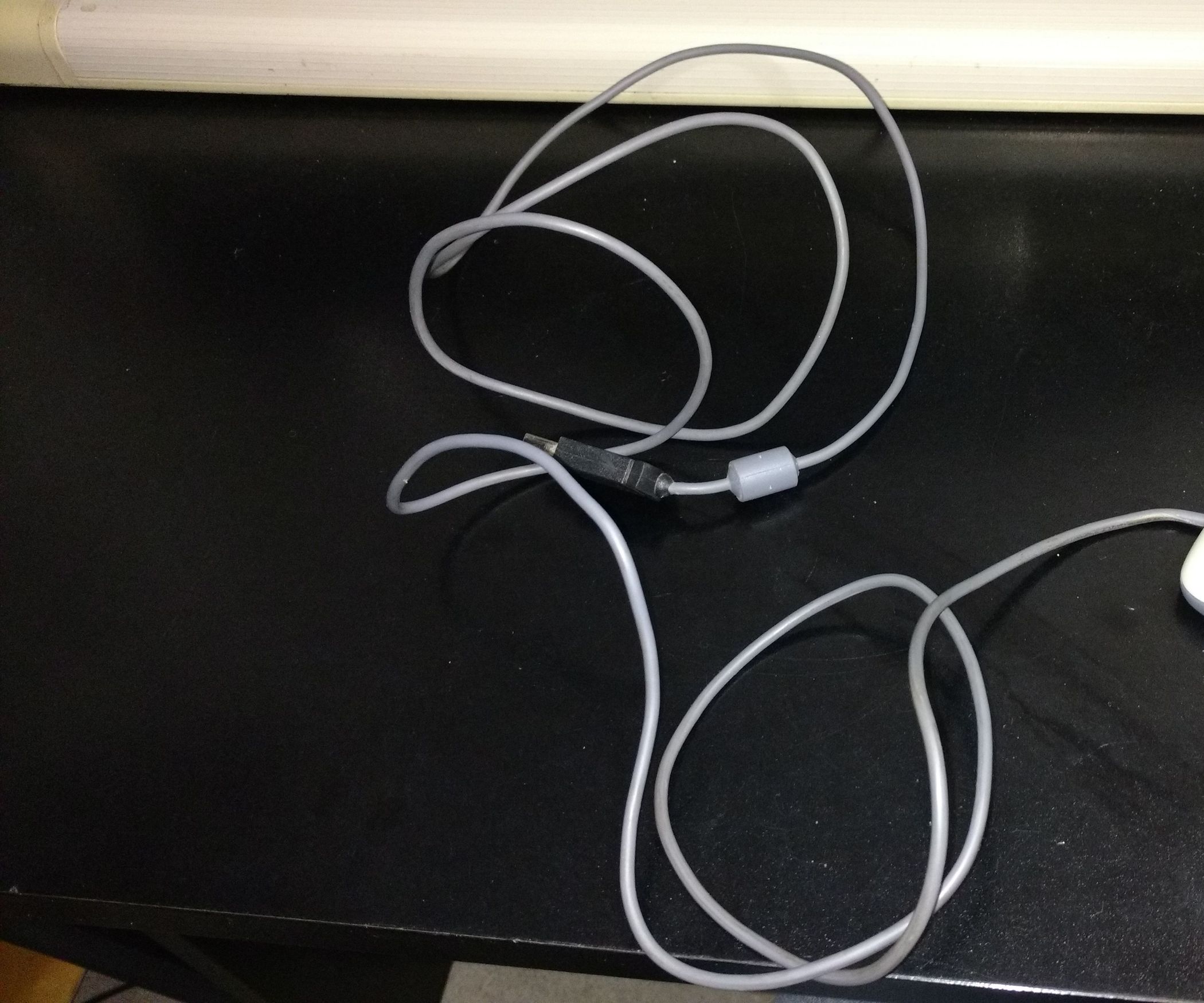 Shortening a Mouse's Tail : 5 Steps - Instructables