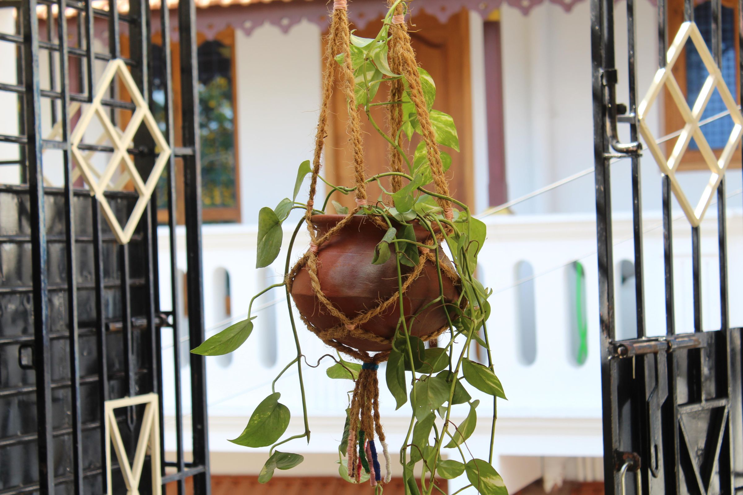 DIY Jute Rope Plant Hanger : 6 Steps (with Pictures) - Instructables