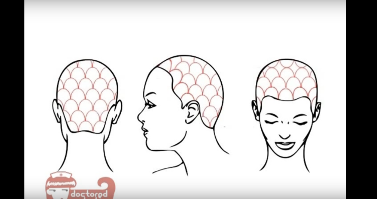 How to Section Your Hair for Braids and Dreadlocks : 3 Steps ...