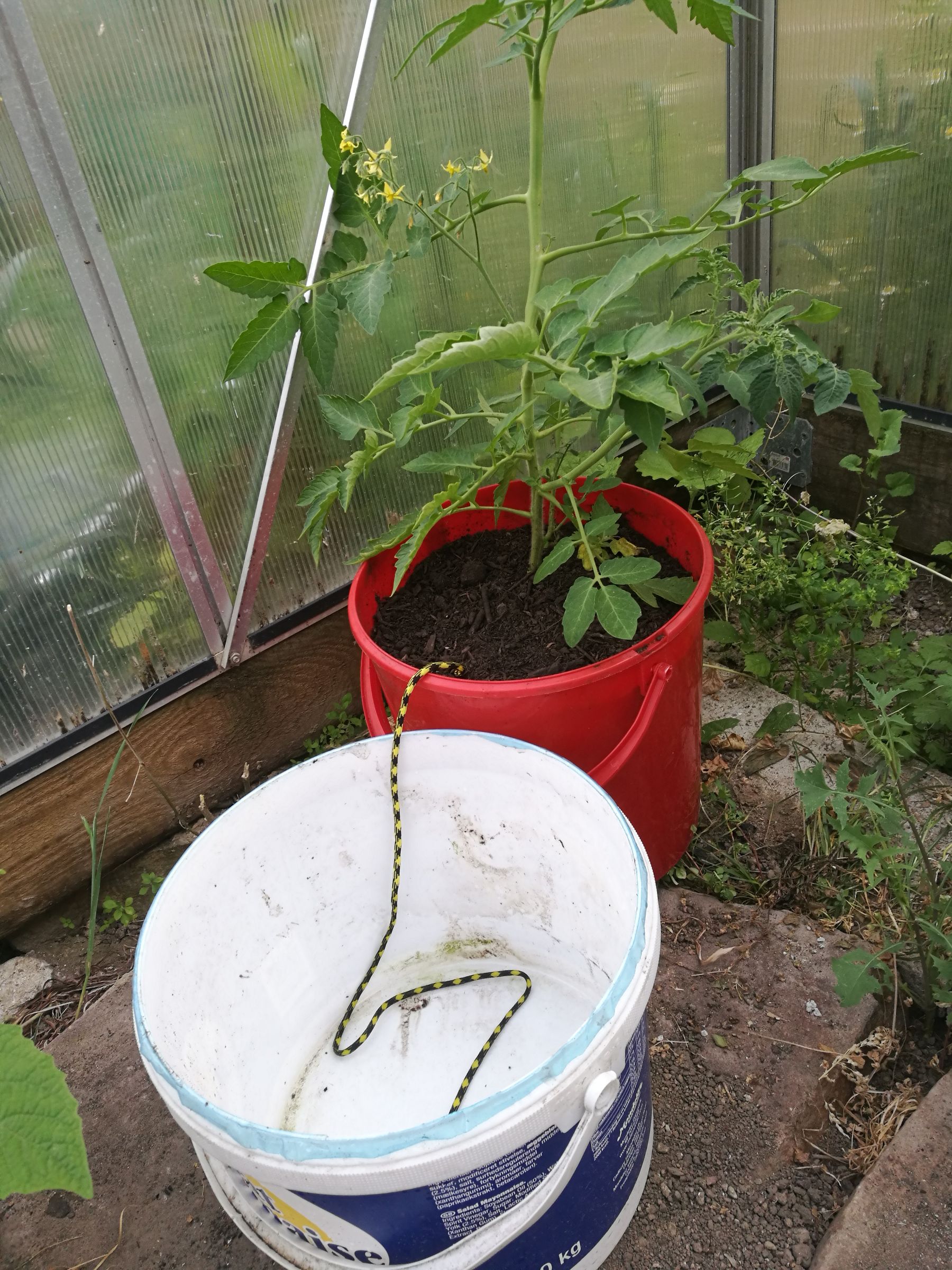 Simple Wicking System : 4 Steps - Instructables