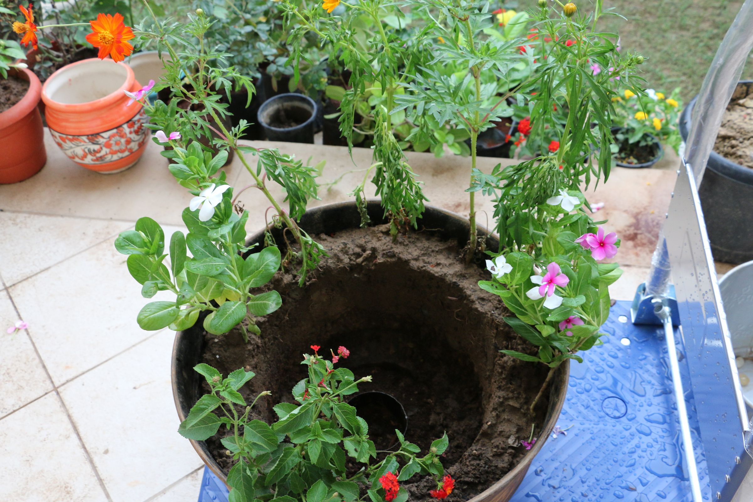 Tea Pot Fountain Planter : 4 Steps - Instructables