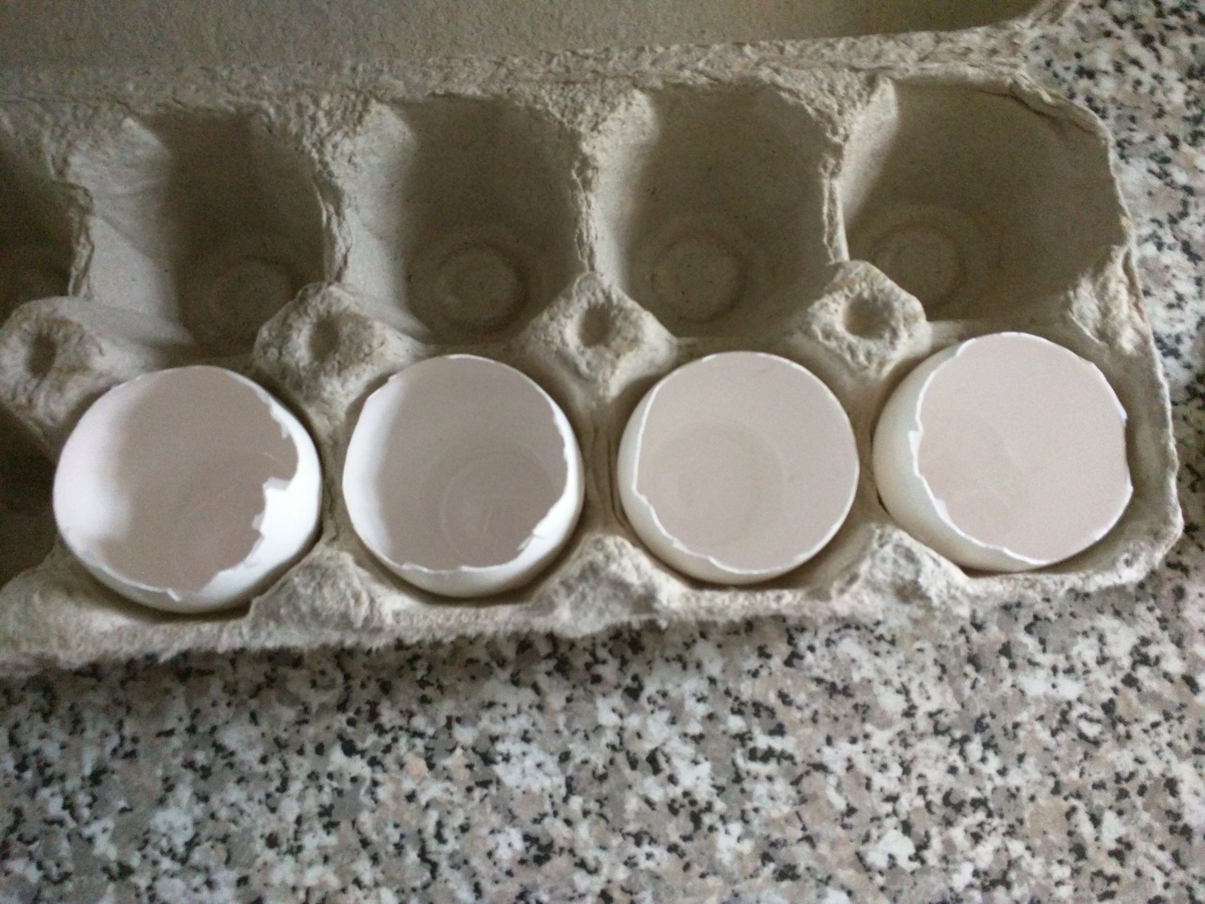 Egg Shell Gardening Pot : 3 Steps (with Pictures) - Instructables