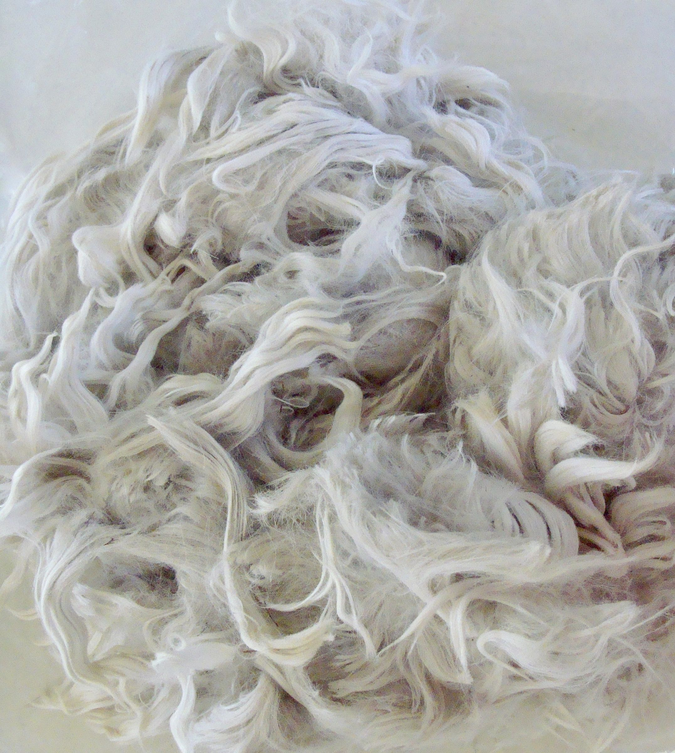 Alpaca Fleece . . . . Now What? : 10 Steps (with Pictures) - Instructables