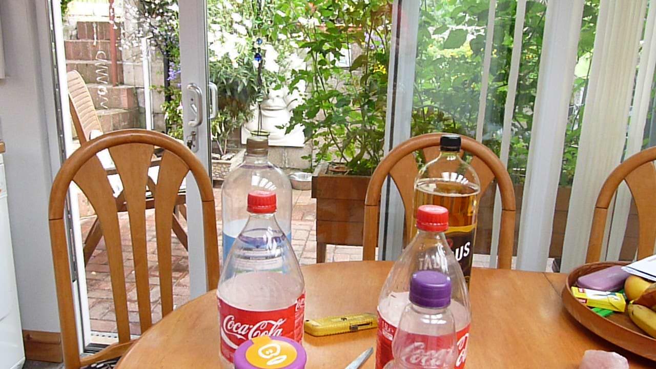 Effective Slug and Snail Trap : 5 Steps (with Pictures) - Instructables