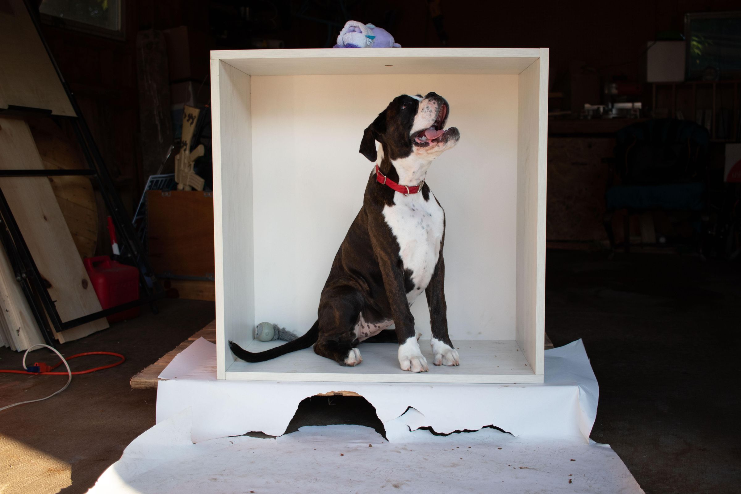 In the Box Photography : 10 Steps (with Pictures) - Instructables