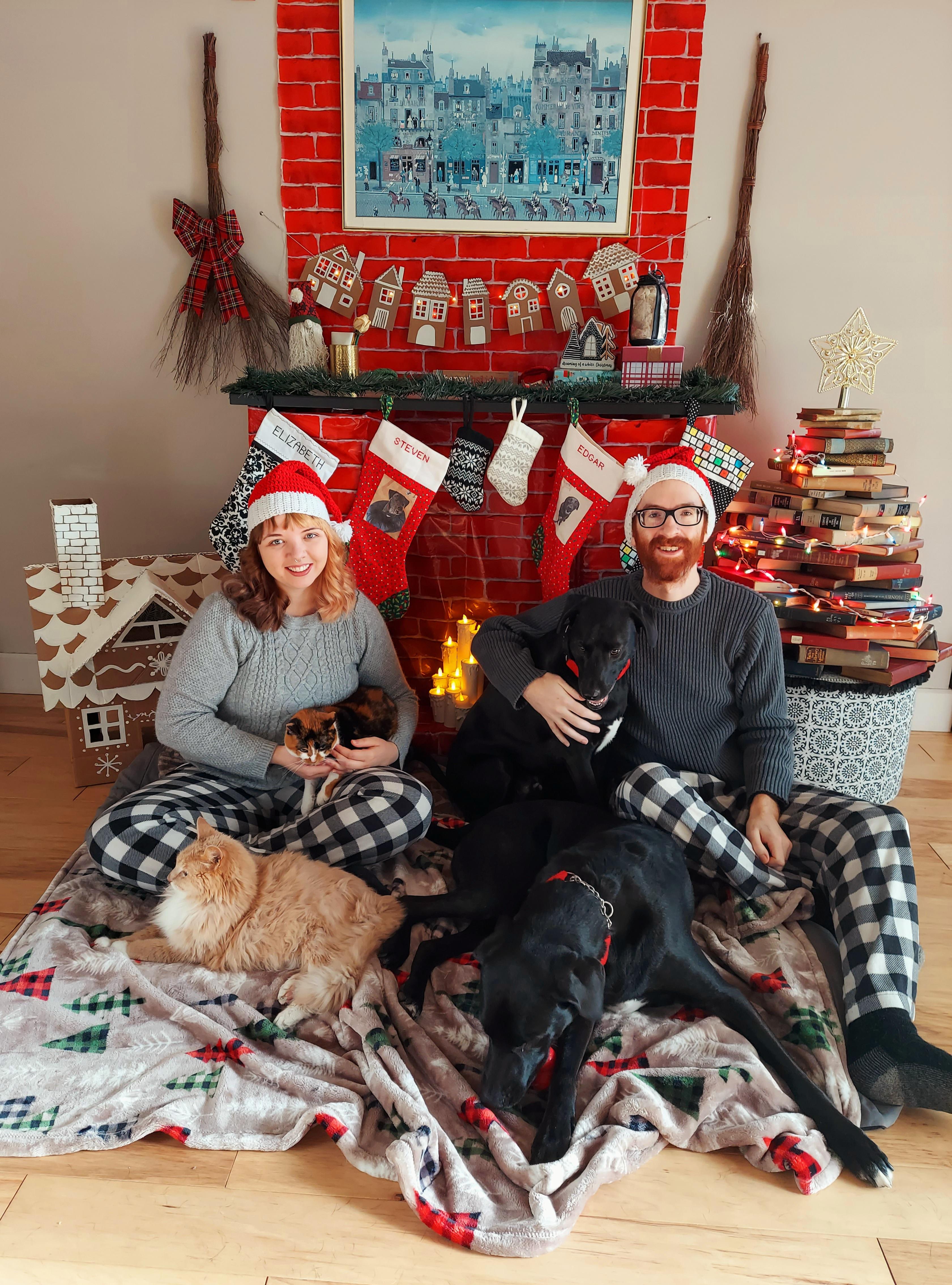 Cardboard Gingerbread Cat House : 12 Steps (with Pictures) - Instructables