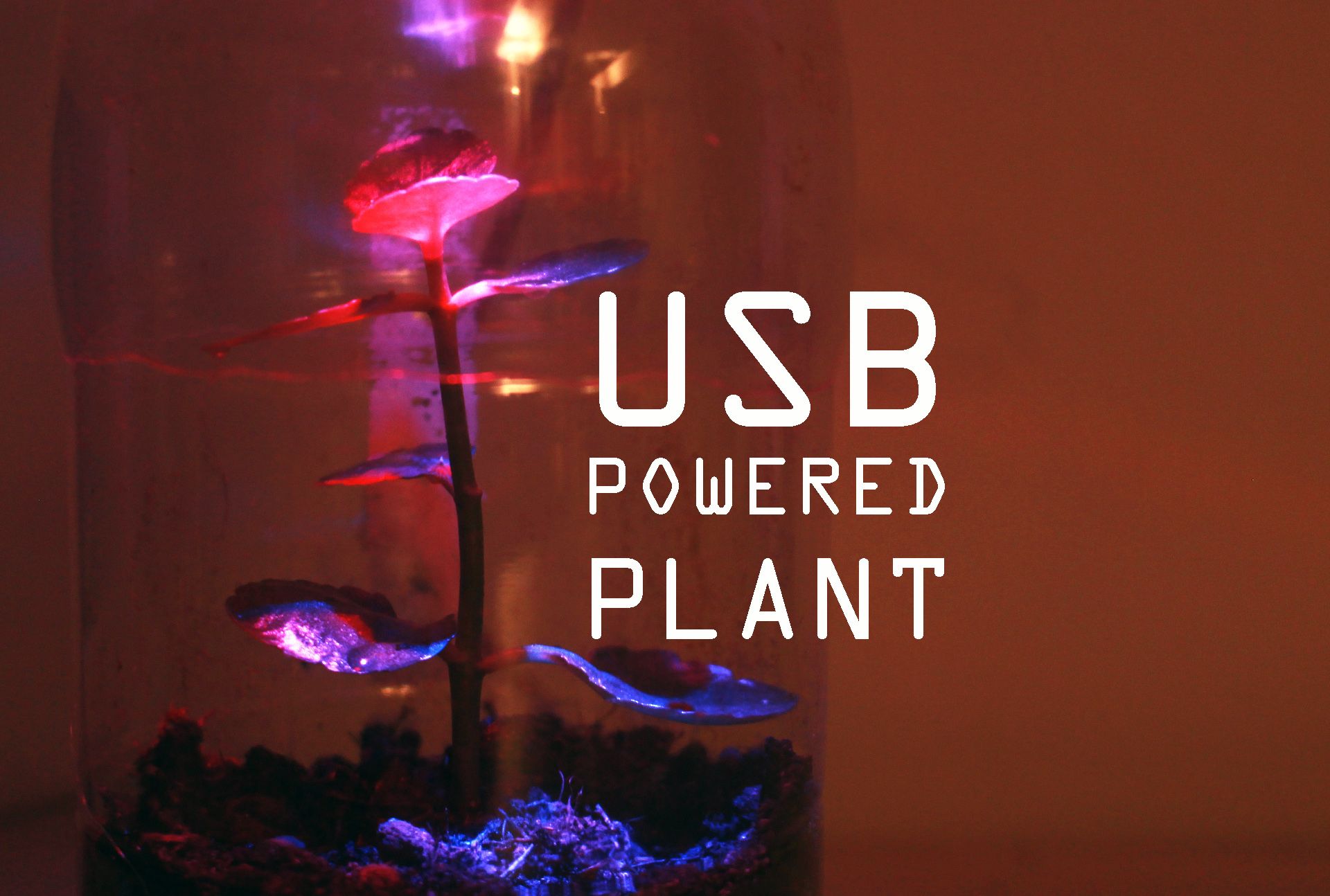 USB Powered Plant : 8 Steps - Instructables