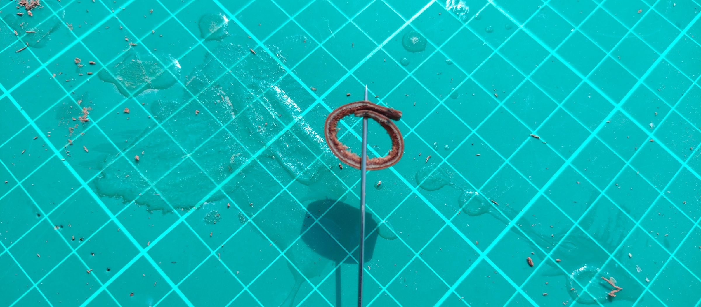 Easy Leather Watch-Strap : 12 Steps (with Pictures) - Instructables