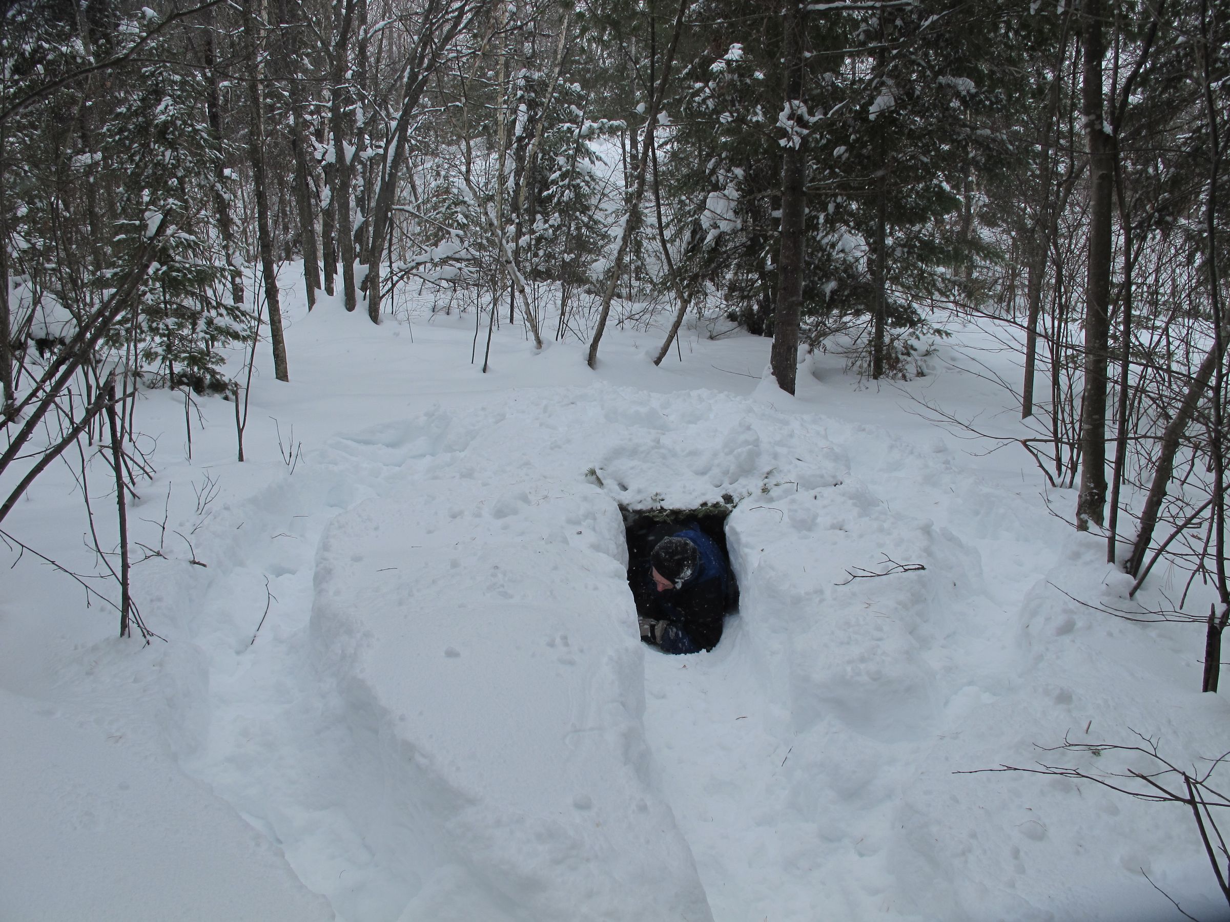 Trench Shelter : 7 Steps - Instructables