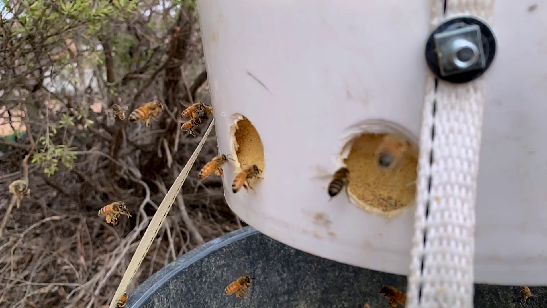 How to Make a Pollen Feeder for Beekeeping : 12 Steps - Instructables