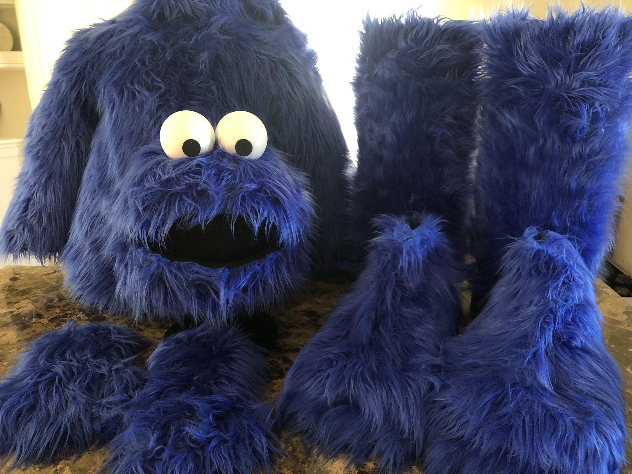 Cookie Monster - Costume : 33 Steps (with Pictures) - Instructables