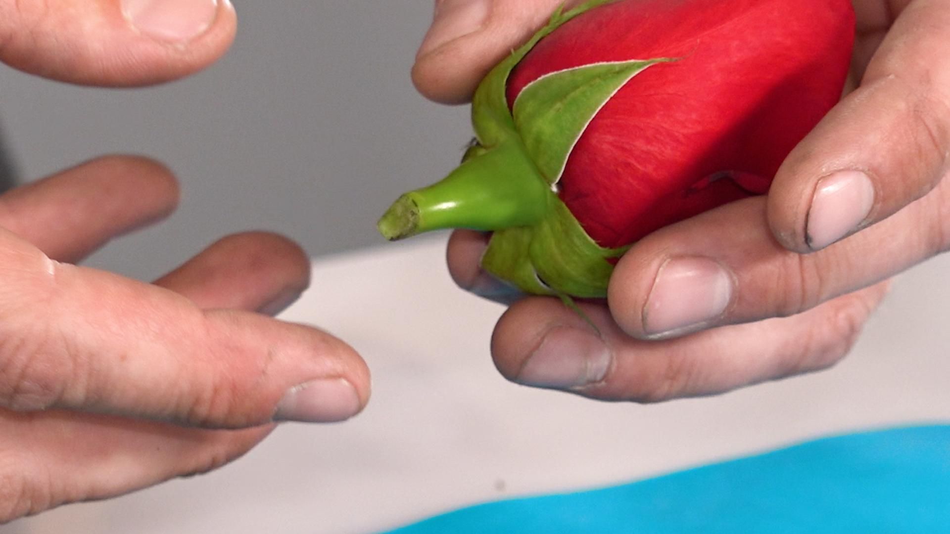 How to Cast Flowers in Epoxy Resin - DIY Resin Rose Paperweight! : 8 ...