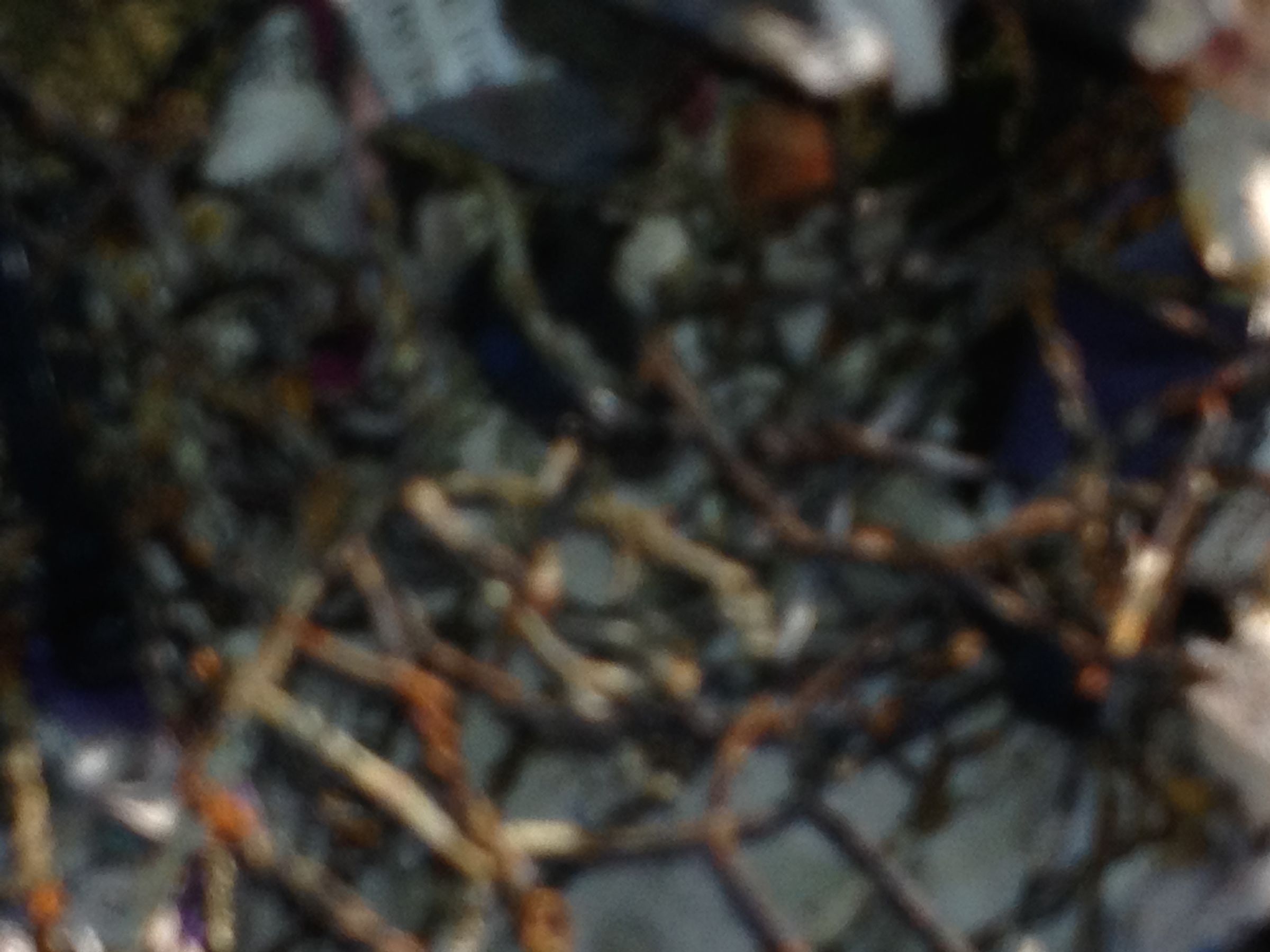 Decomposed Corpse : 5 Steps - Instructables