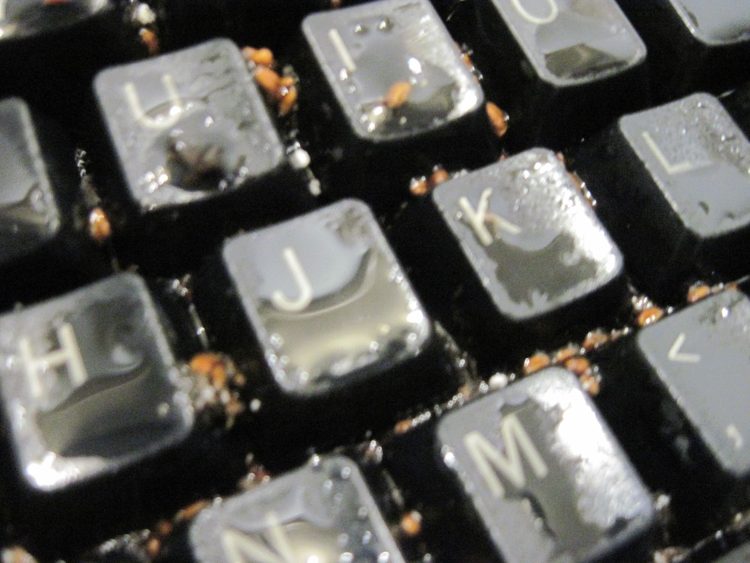 Grow a Keyboard : 10 Steps (with Pictures) - Instructables