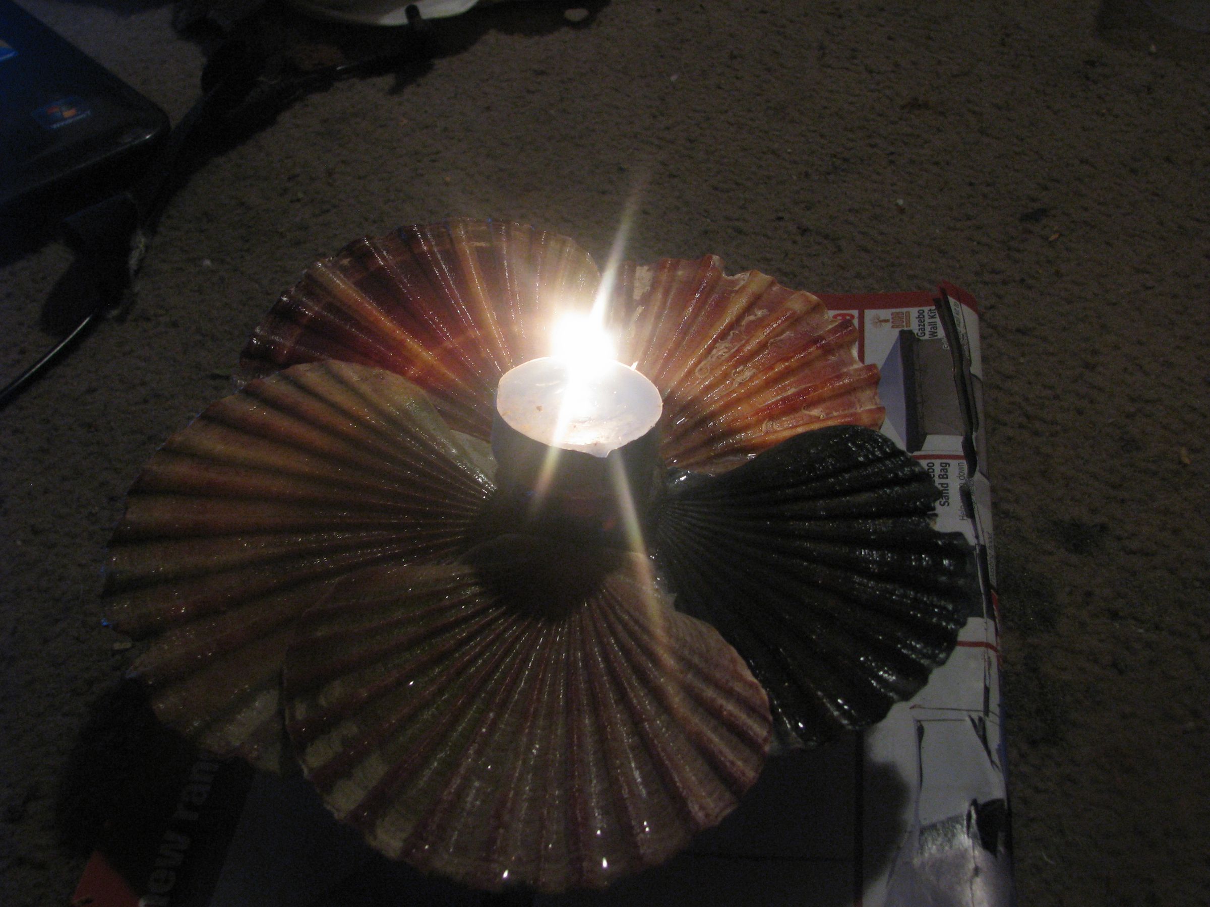Fan Clam Shell Flower! - Instructables