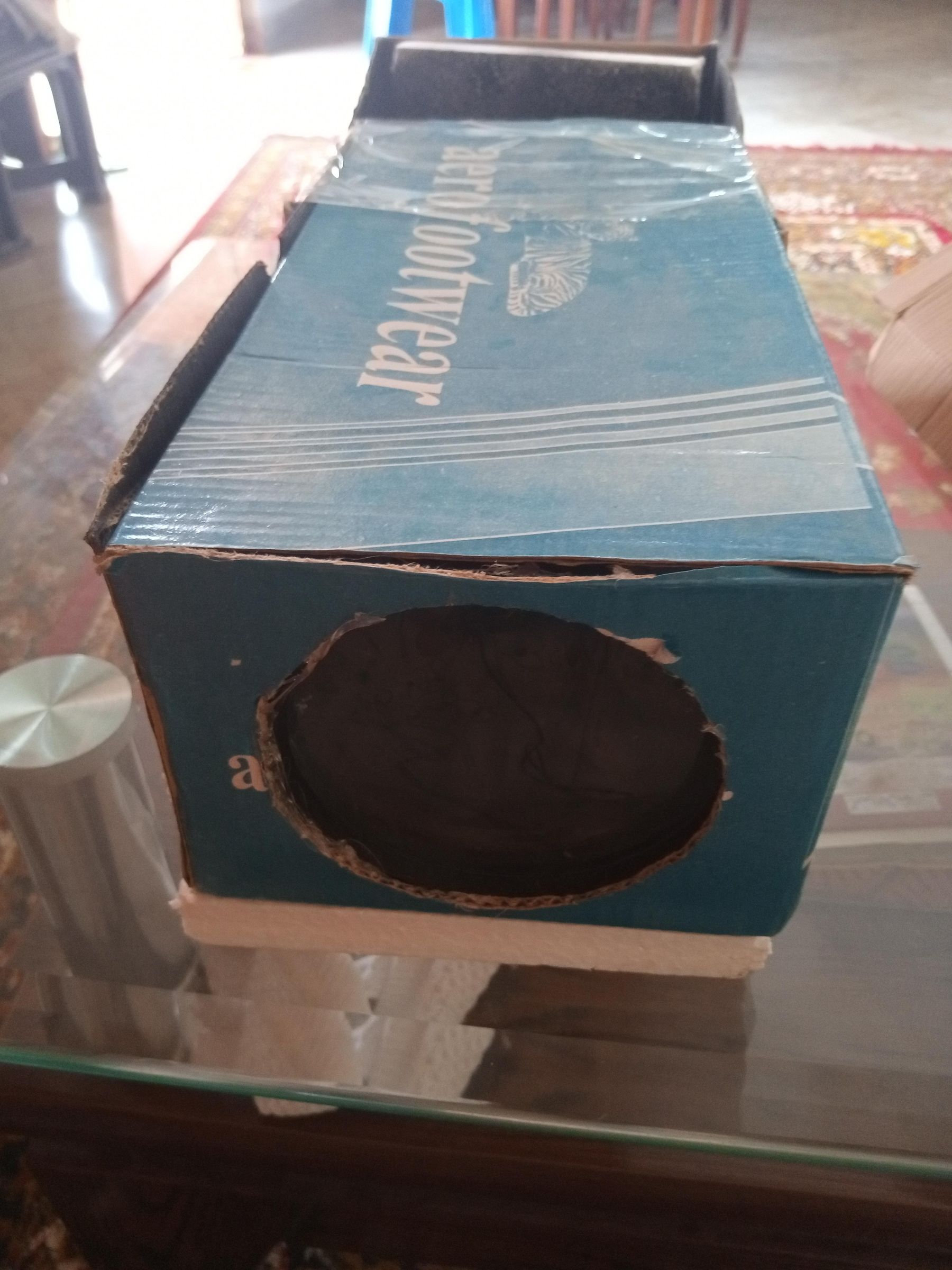 Build a Smartphone Projector With a Shoebox : 17 Steps (with Pictures ...
