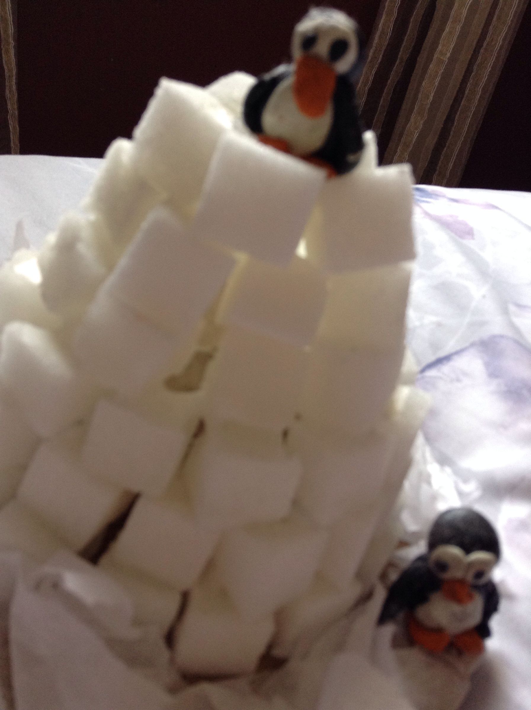 How To Make An Igloo Out Of Sugar Cubes