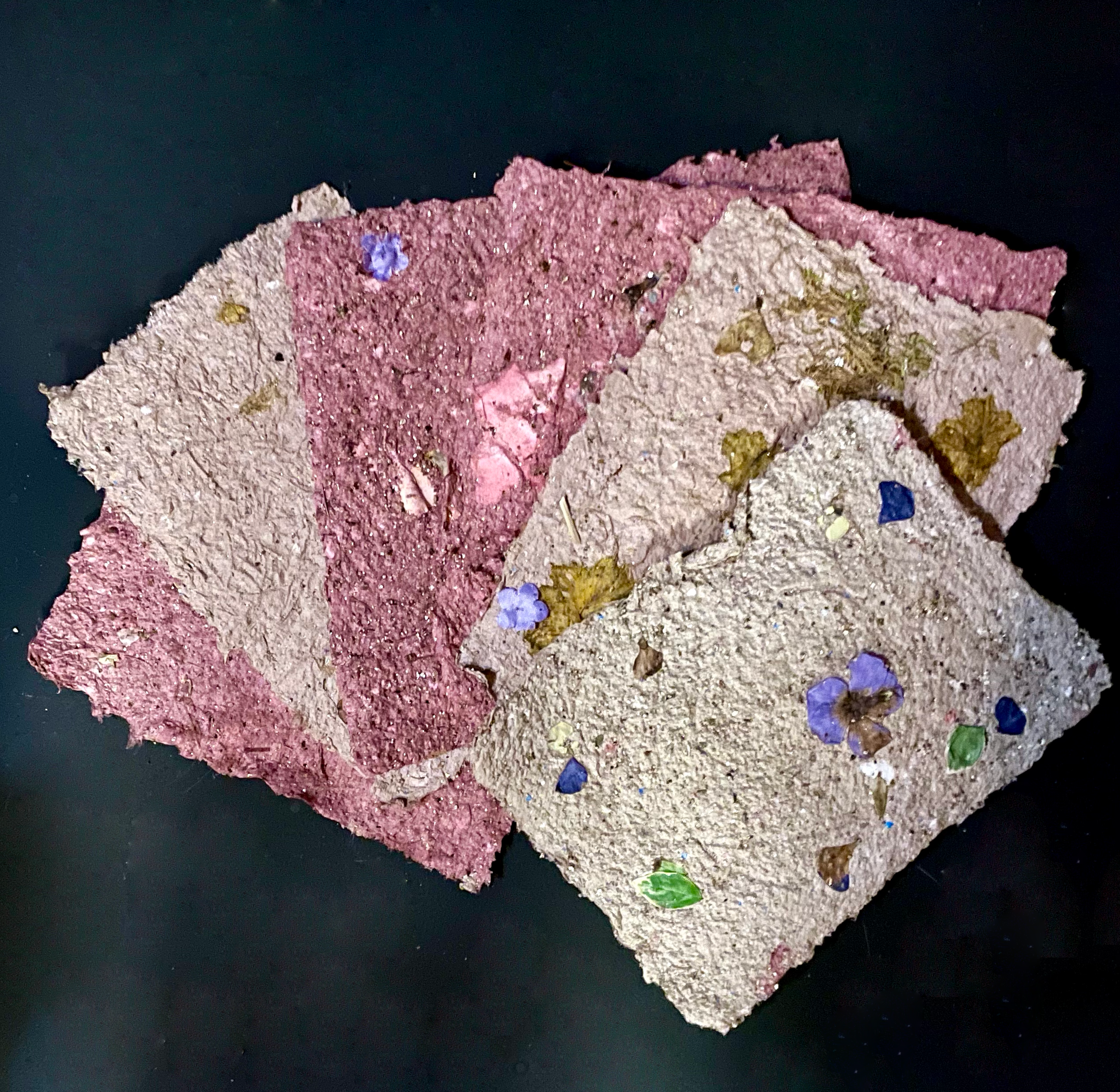 Seed Paper From Used Cardboard Boxes : 8 Steps (with Pictures ...