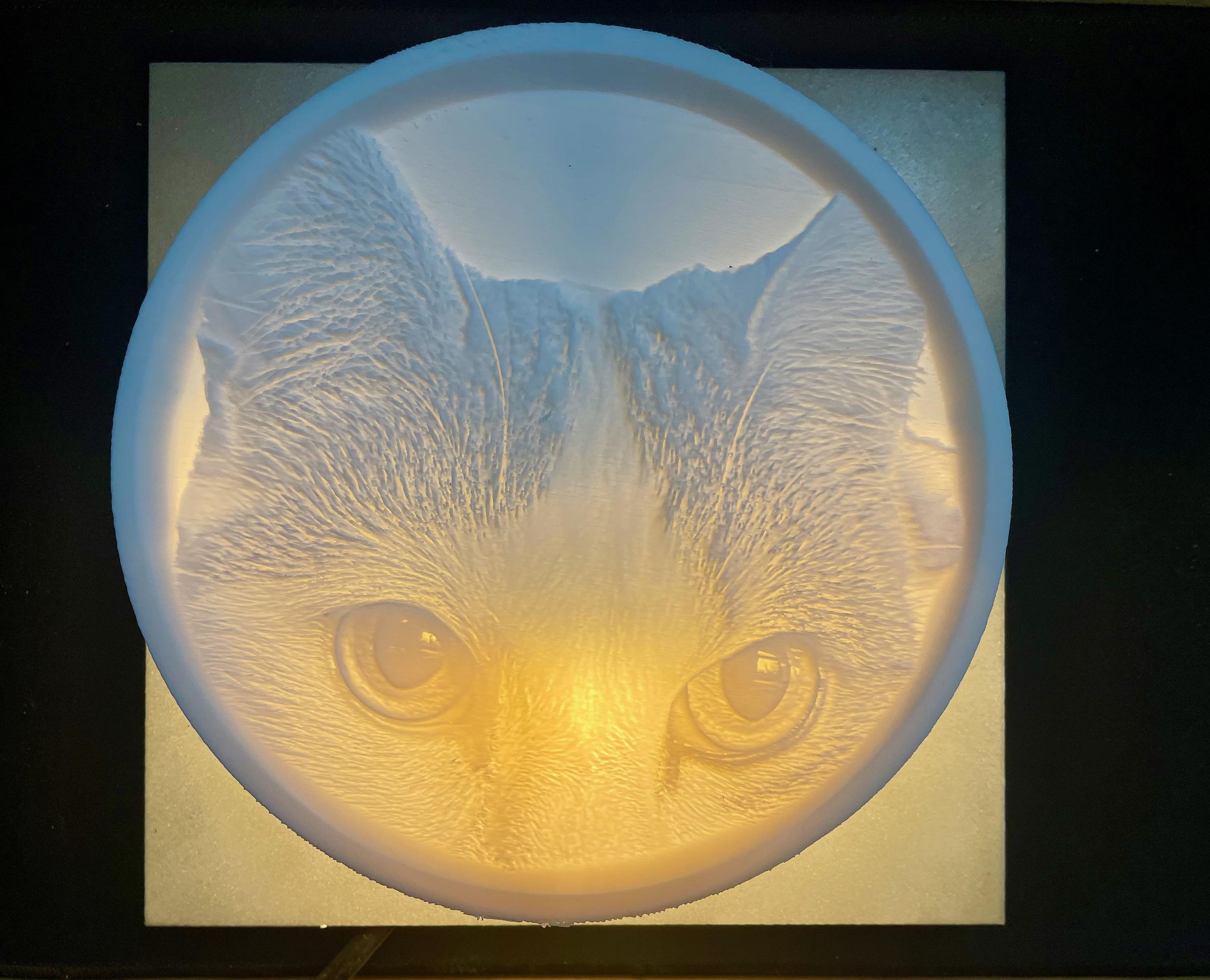 3D Printed Pet Lights : 7 Steps (with Pictures) - Instructables