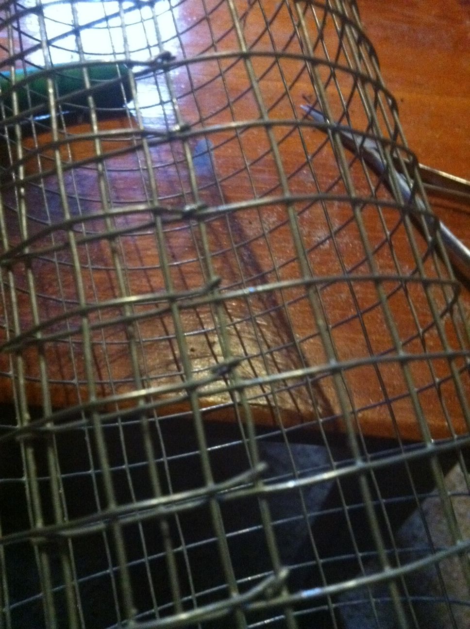 Homemade Pool , Outdoor Tub , Water Filter : 7 Steps (with Pictures ...