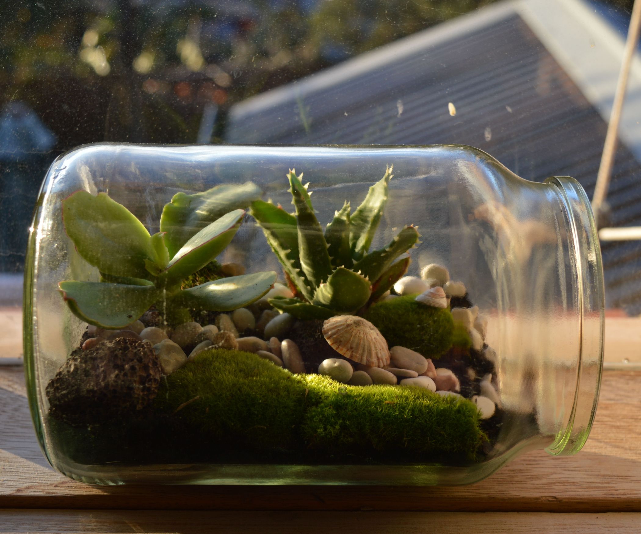 Super Simple Terrarium : 4 Steps (with Pictures) - Instructables