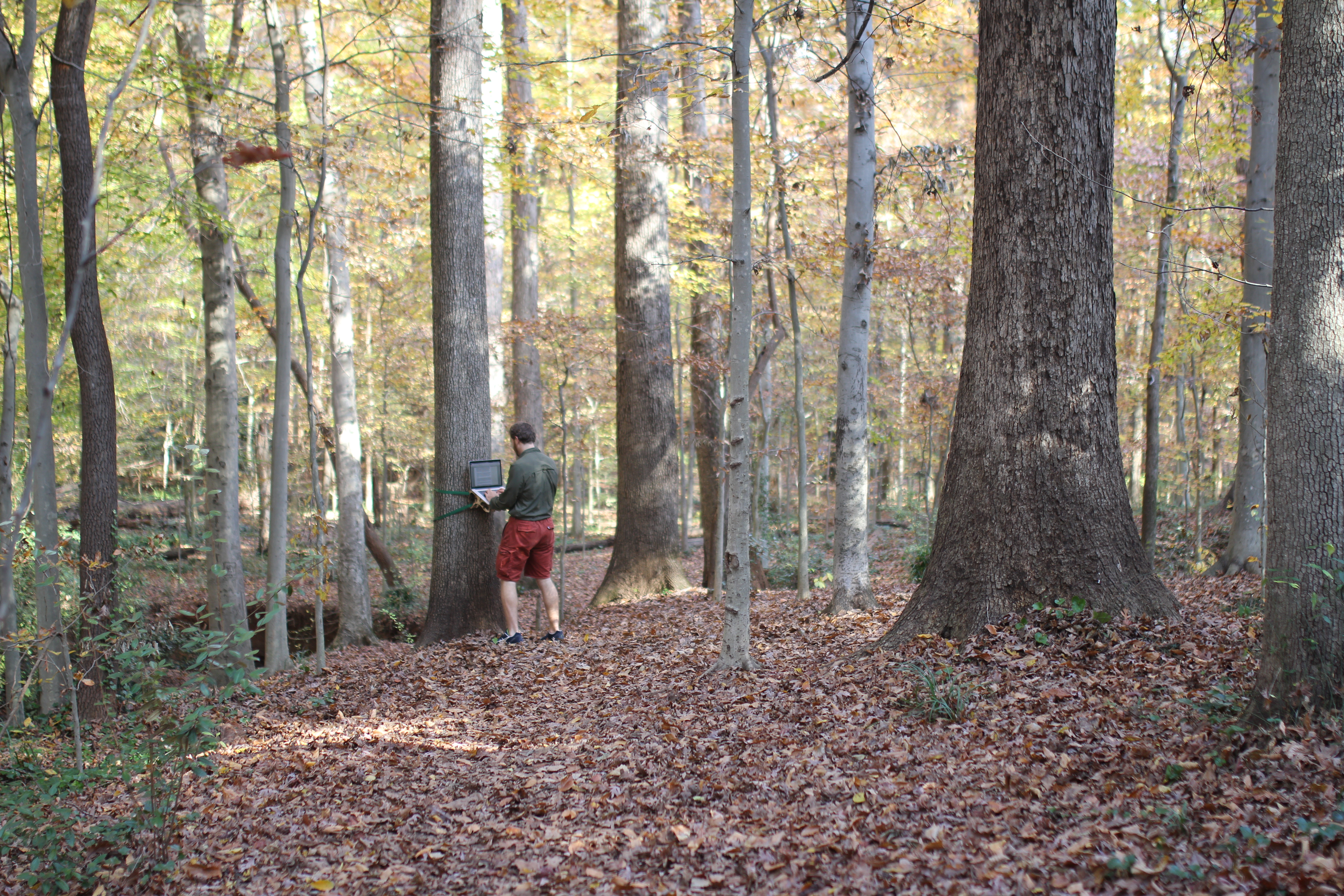 Standing Tree Desk : 5 Steps (with Pictures) - Instructables