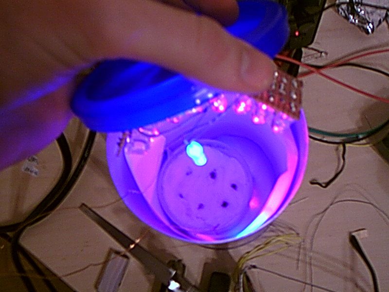 Growing Plants With LED Lights : 6 Steps - Instructables