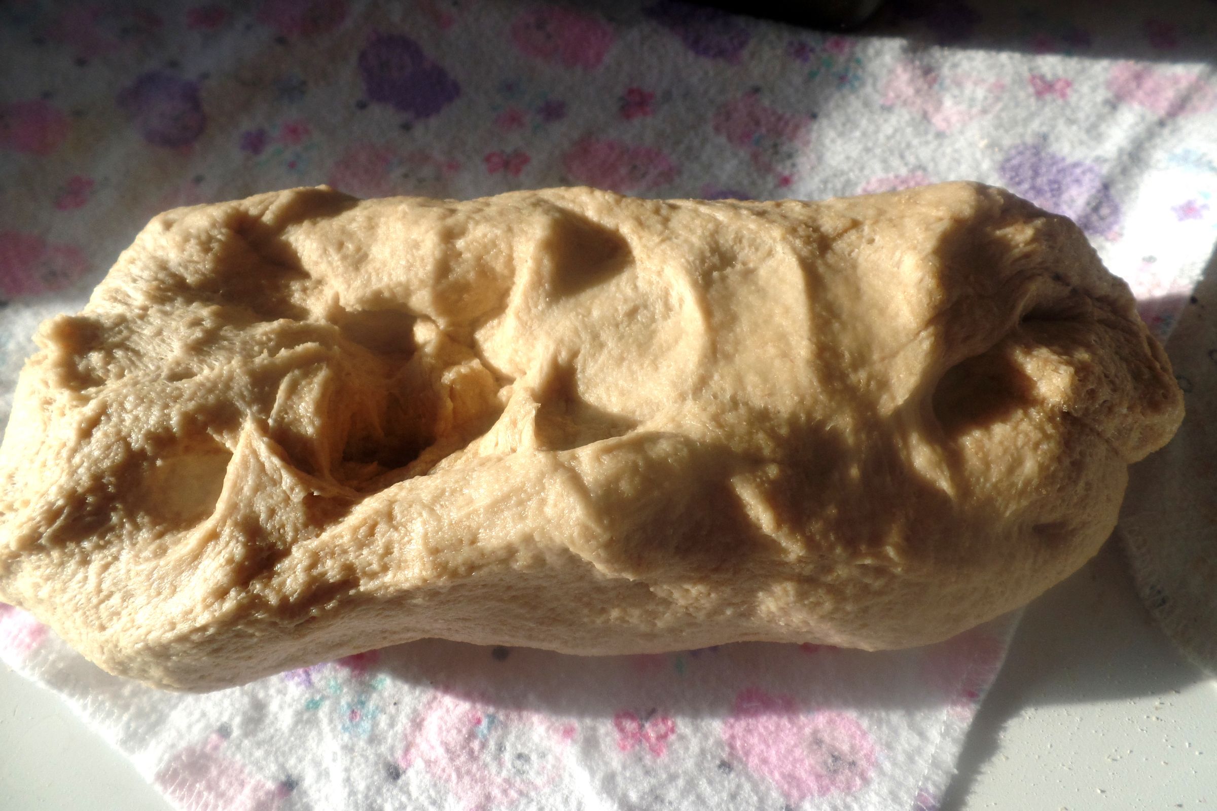 100% Whole Wheat Home-Ground Sandwich Bread, Rolls, and Focaccia : 8 ...