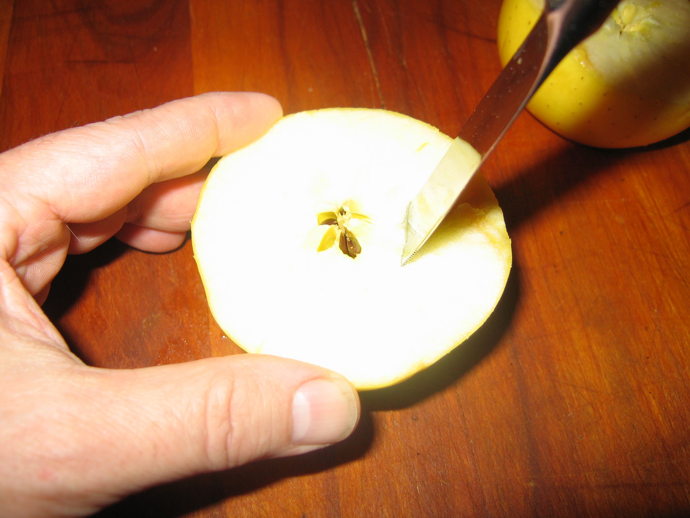 How to Core an Apple (the Fun Way!) : 7 Steps - Instructables