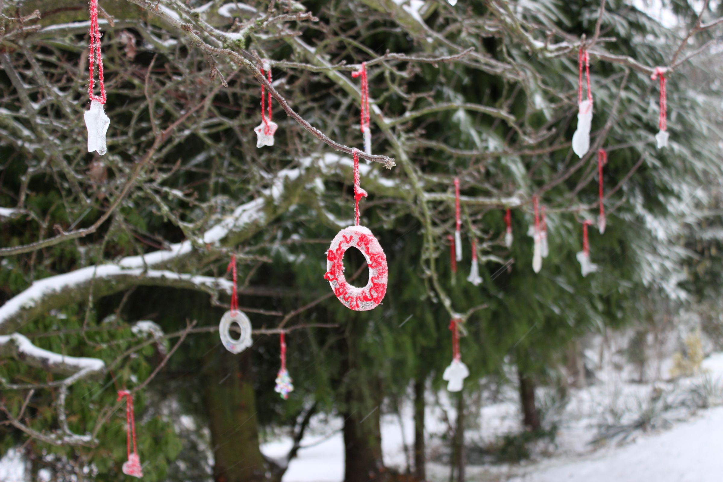 Ice Decorations for the Outdoors, Christmas or Any Winter Celebration ...